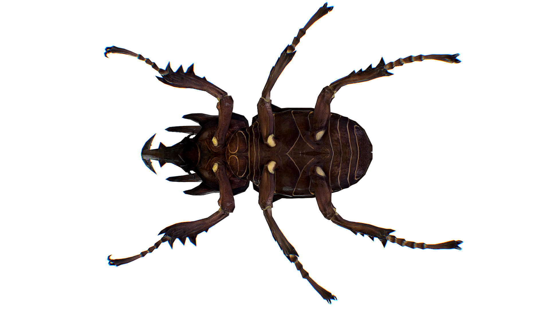 Brown Rhinoceros Beetle Dynastinae Bug Insect Animal - 3D Model by ...