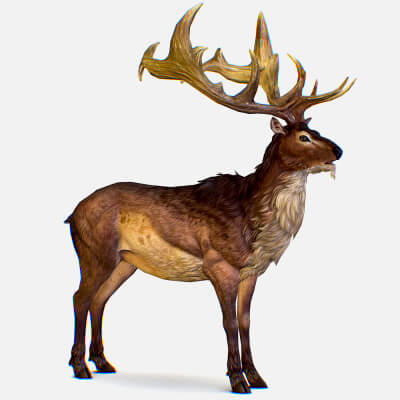 Sambar Deer Reindeer Elk Big Antlers Mammal Wild Animal - 3D Model by ...