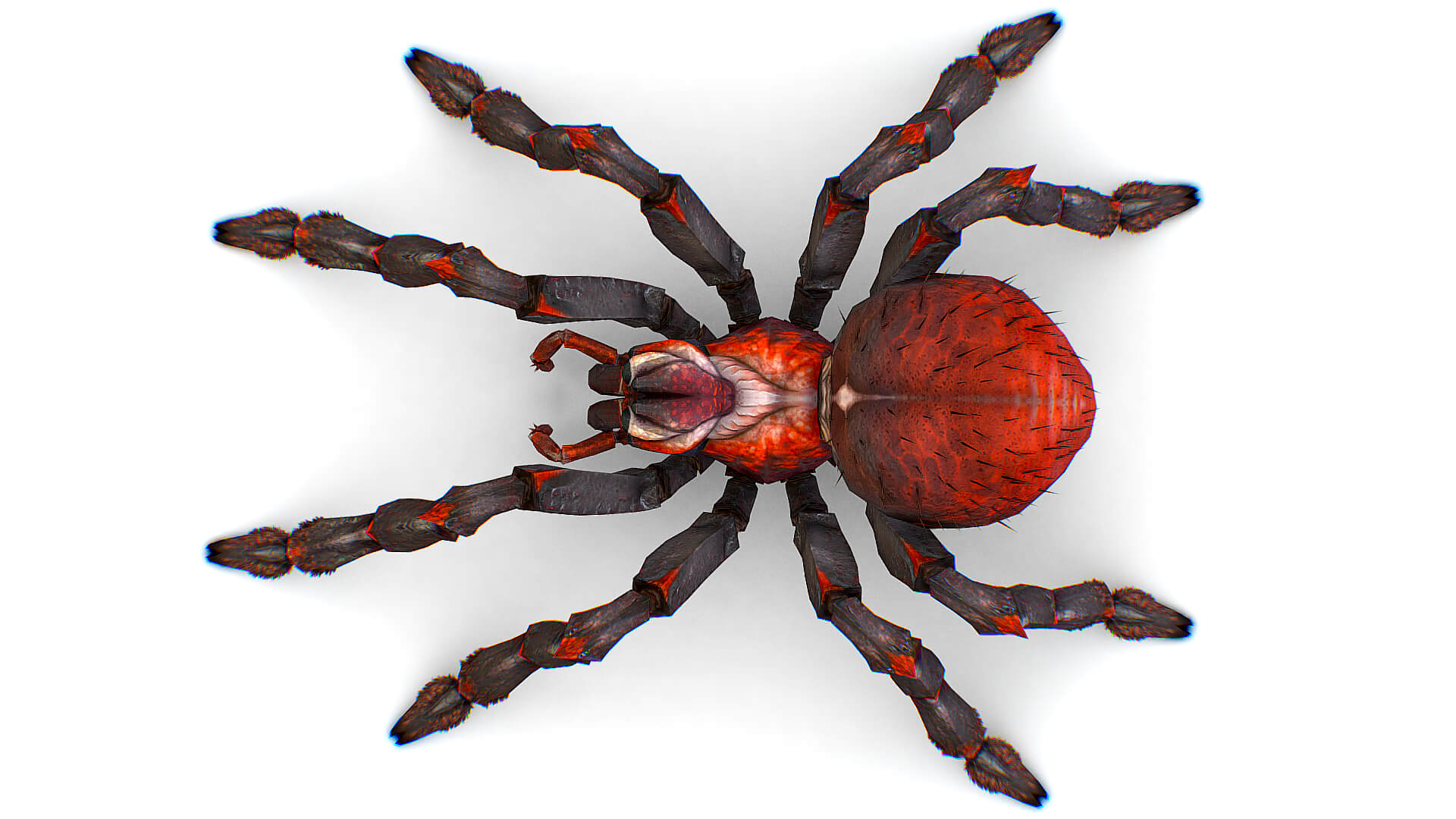Fantasy Red Spider Monster Creature Giant Arachnid - 3D Model by LiveBook3D