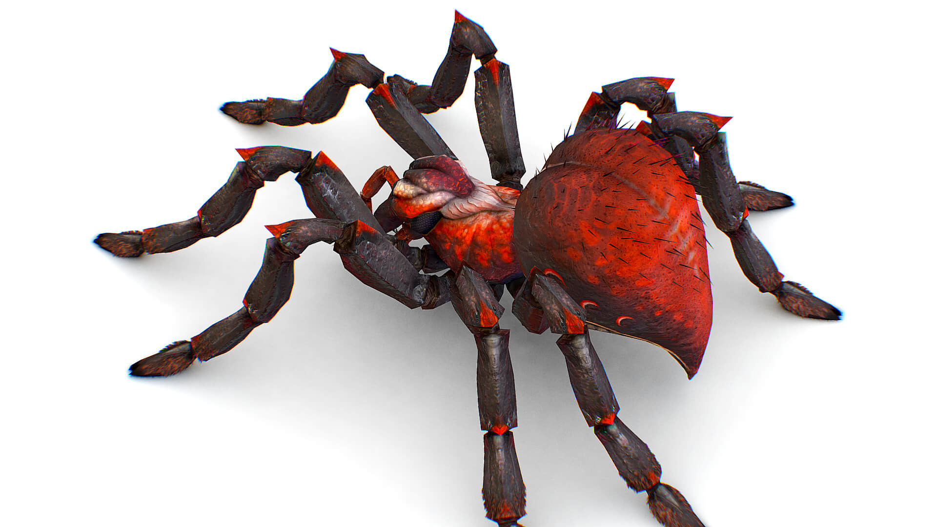 Fantasy Red Spider Monster Creature Giant Arachnid - 3D Model by LiveBook3D