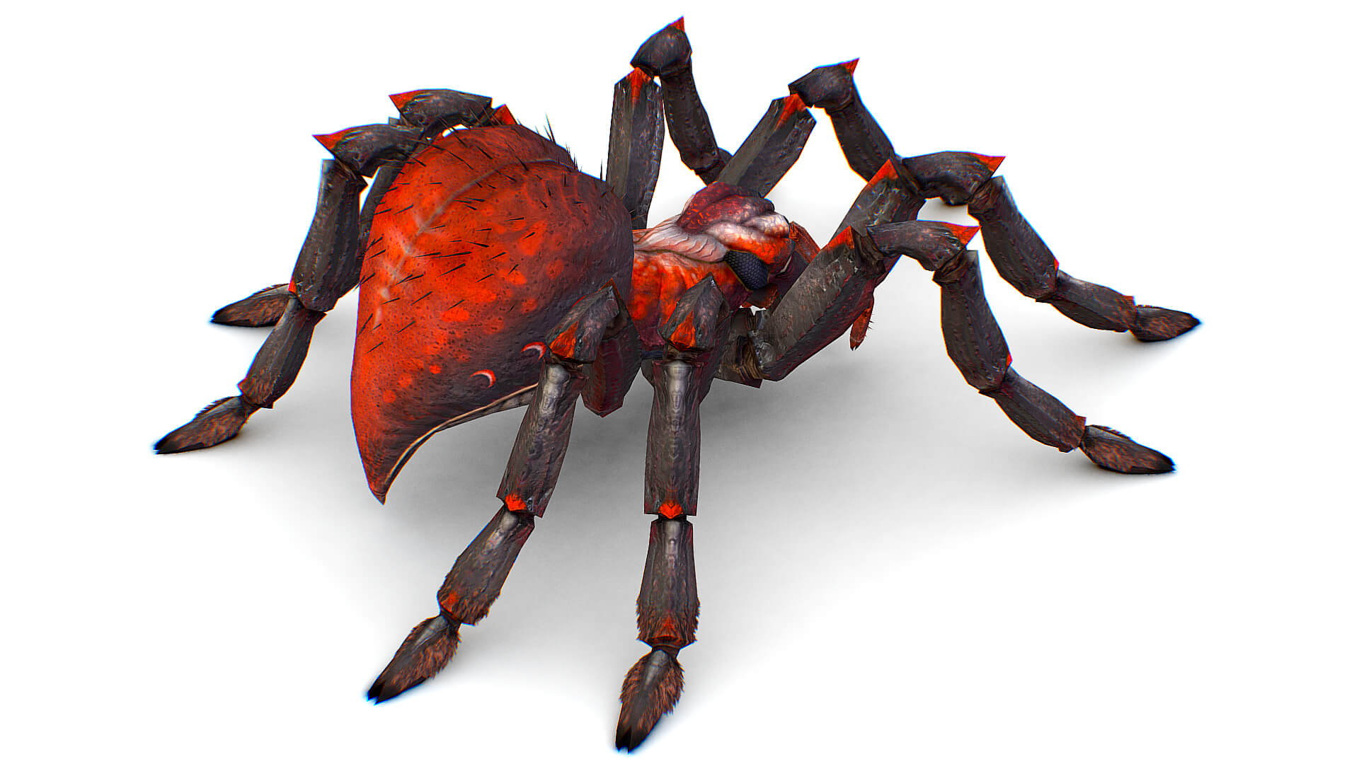 Fantasy Red Spider Monster Creature Giant Arachnid - 3D Model by LiveBook3D