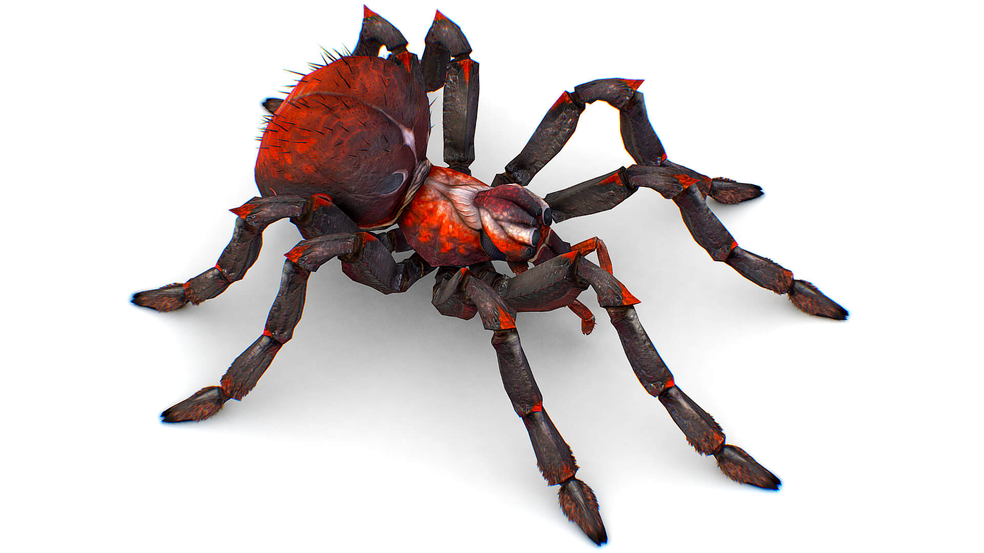 Fantasy Red Spider Monster Creature Giant Arachnid - 3D Model by LiveBook3D