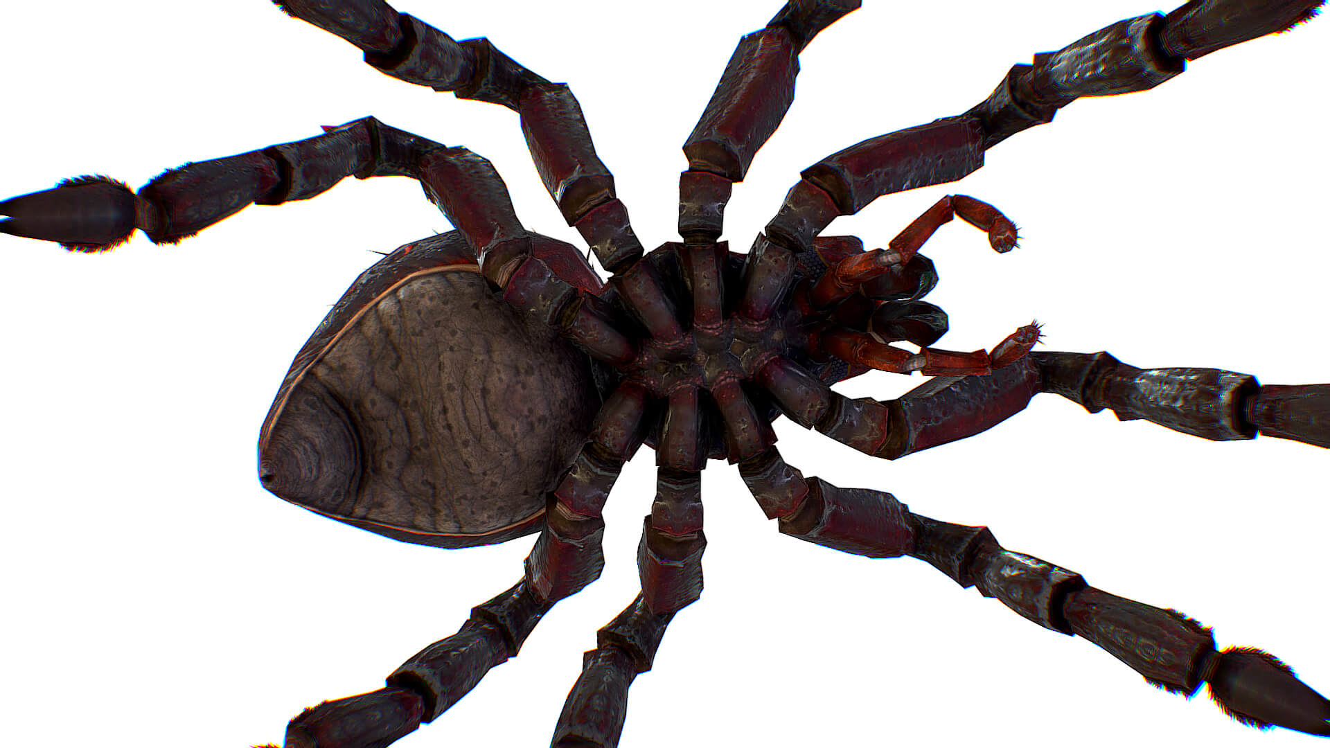Fantasy Red Spider Monster Creature Giant Arachnid - 3D Model by LiveBook3D