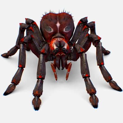 Fantasy Red Spider Monster Creature Giant Arachnid - 3D Model by LiveBook3D