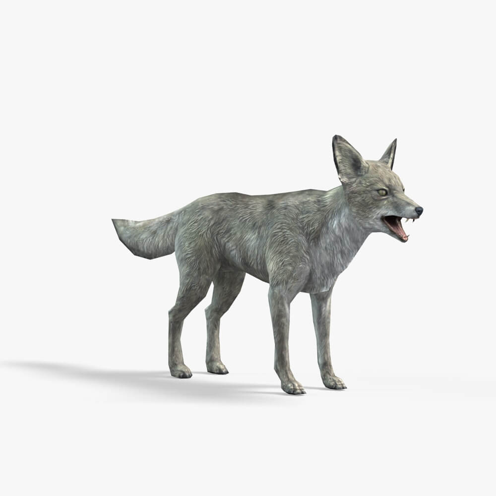 Fox Redfox Vulpes Coyote Wolf Jackal Scavenger Predator - 3D Model by ...