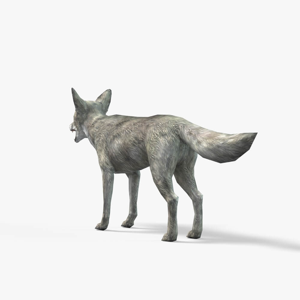 Fox Redfox Vulpes Coyote Wolf Jackal Scavenger Predator - 3D Model by ...