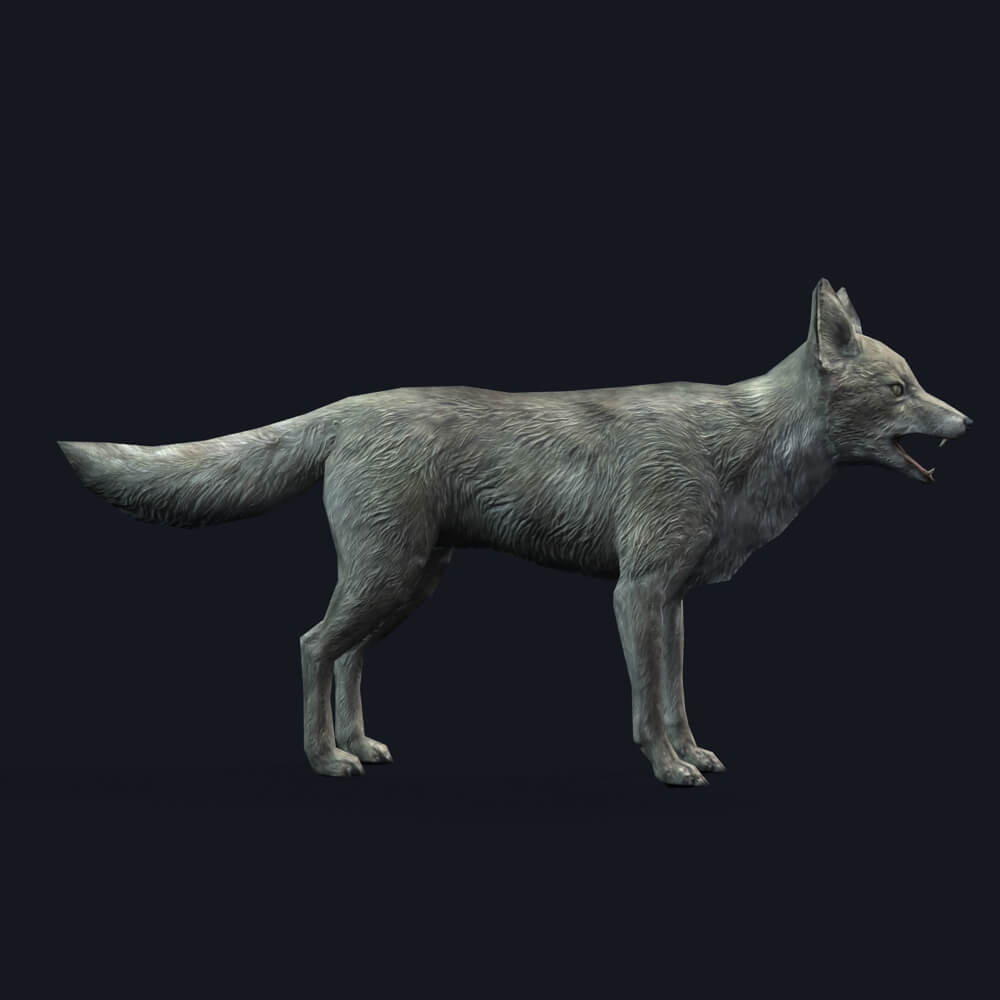 Fox Redfox Vulpes Coyote Wolf Jackal Scavenger Predator - 3D Model by ...