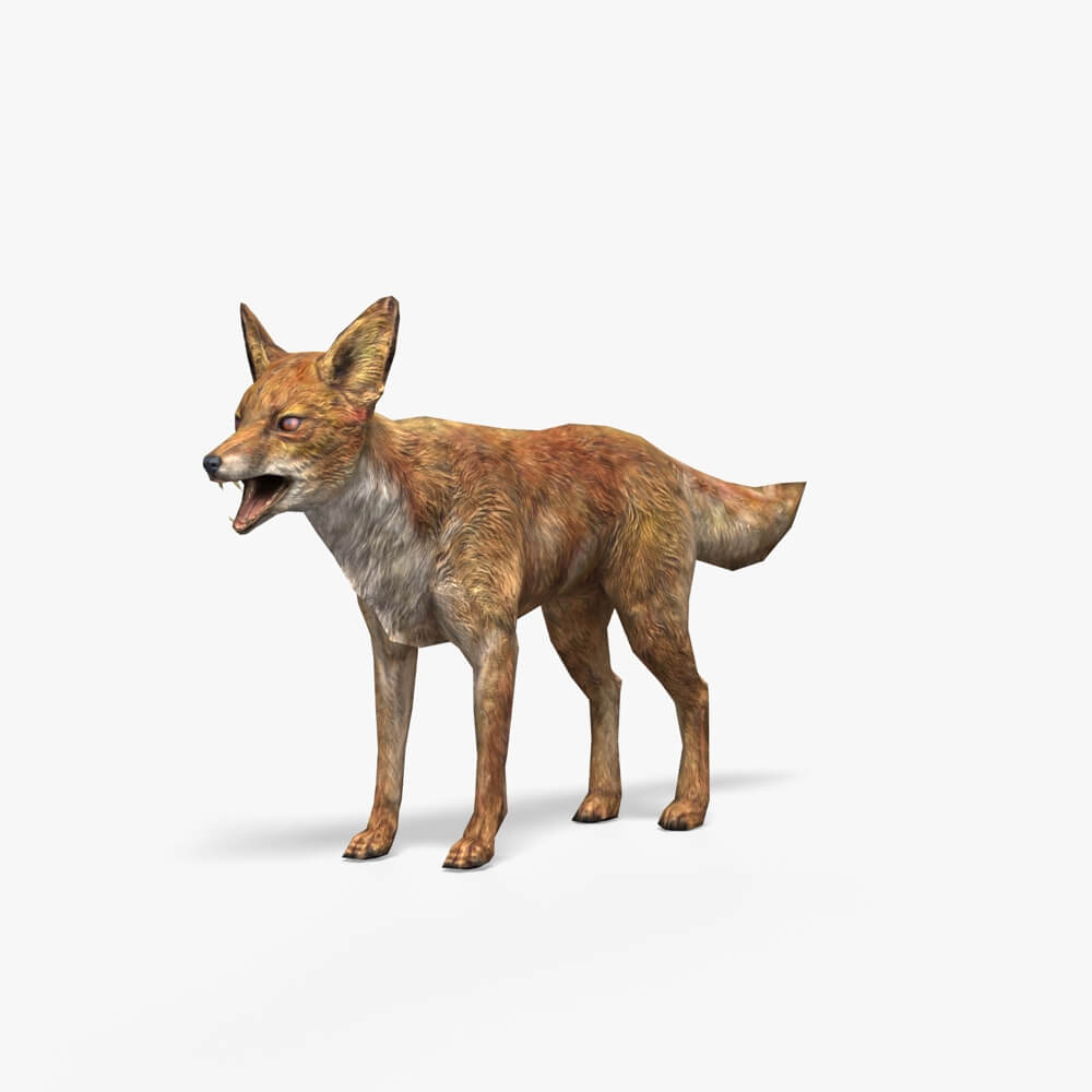 Fox Redfox Vulpes Coyote Wolf Jackal Scavenger Predator - 3D Model by ...