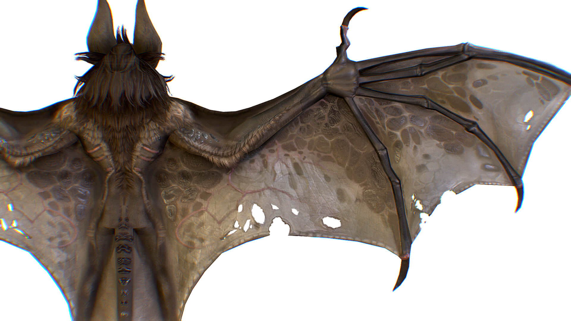 Gray Bat Vampire Mouse Monster - 3D Model by LiveBook3D