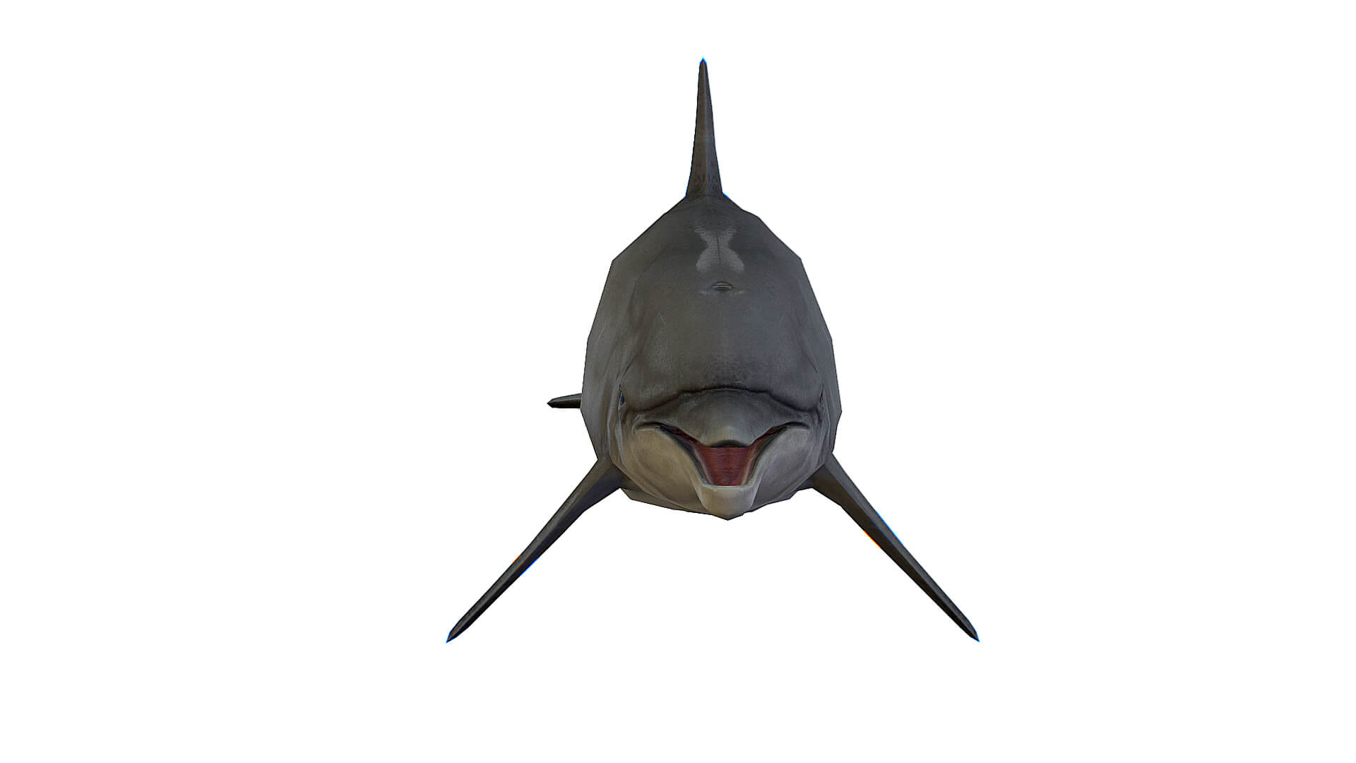 Gray Dolphin Sea Ocean Animal Mammal Fish - 3D Model by LiveBook3D