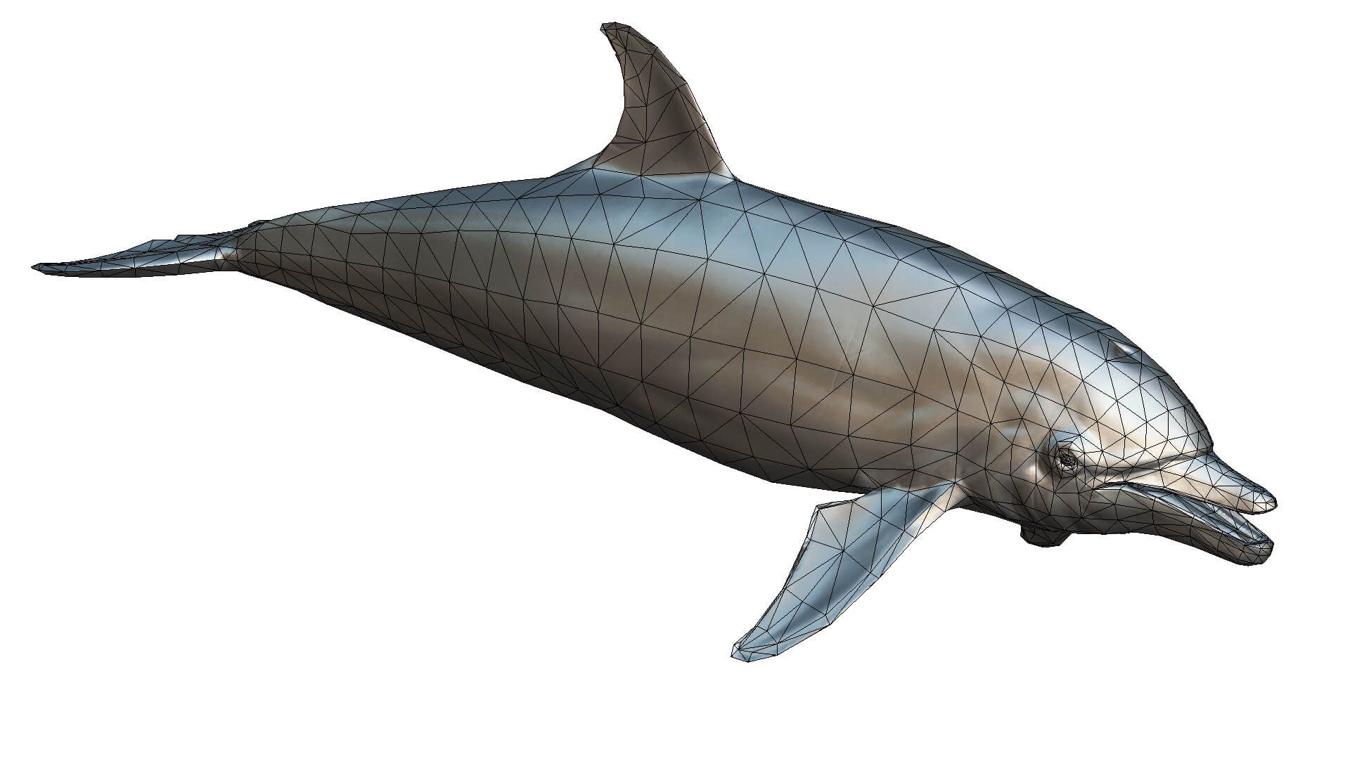 Gray Dolphin Sea Ocean Animal Mammal Fish - 3D Model by LiveBook3D