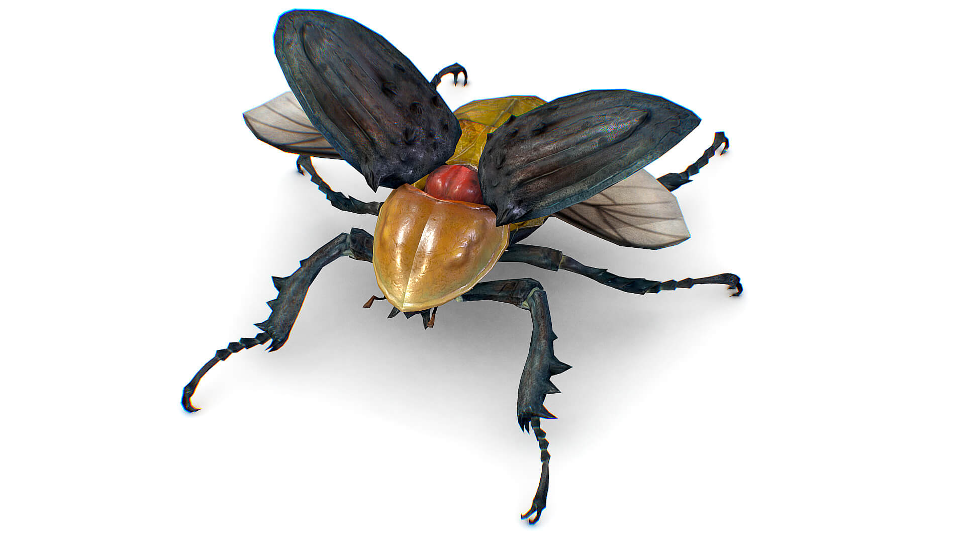 Green Rhinoceros Beetle Dynastinae Bug Insect Animal - 3D Model by ...