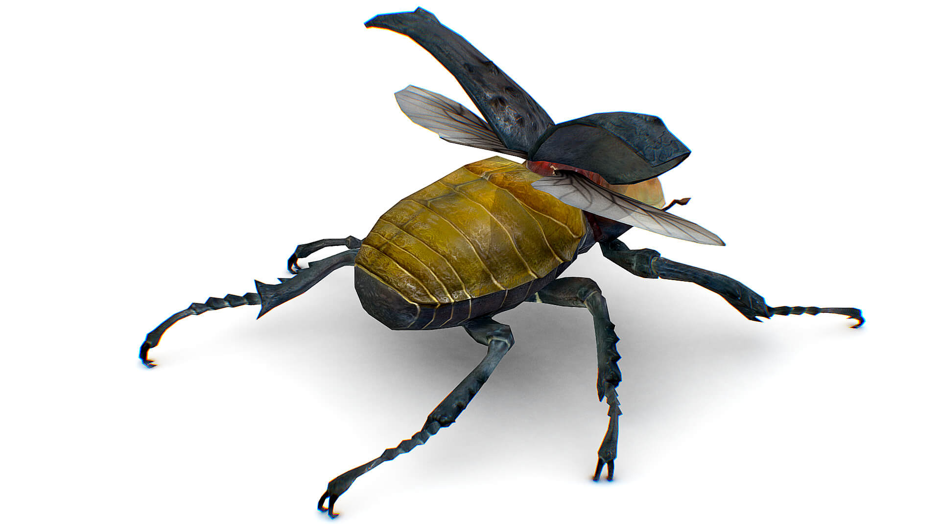 Green Rhinoceros Beetle Dynastinae Bug Insect Animal - 3D Model by ...