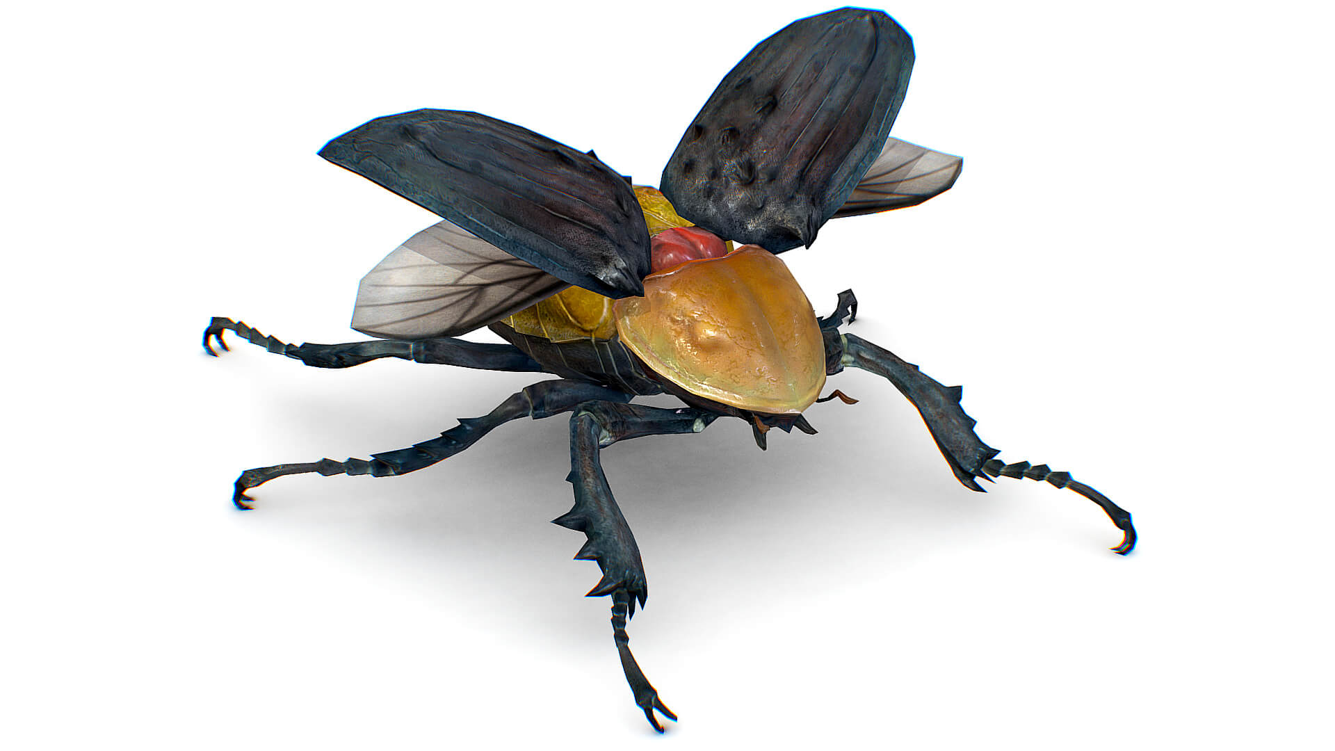 Green Rhinoceros Beetle Dynastinae Bug Insect Animal - 3D Model by ...