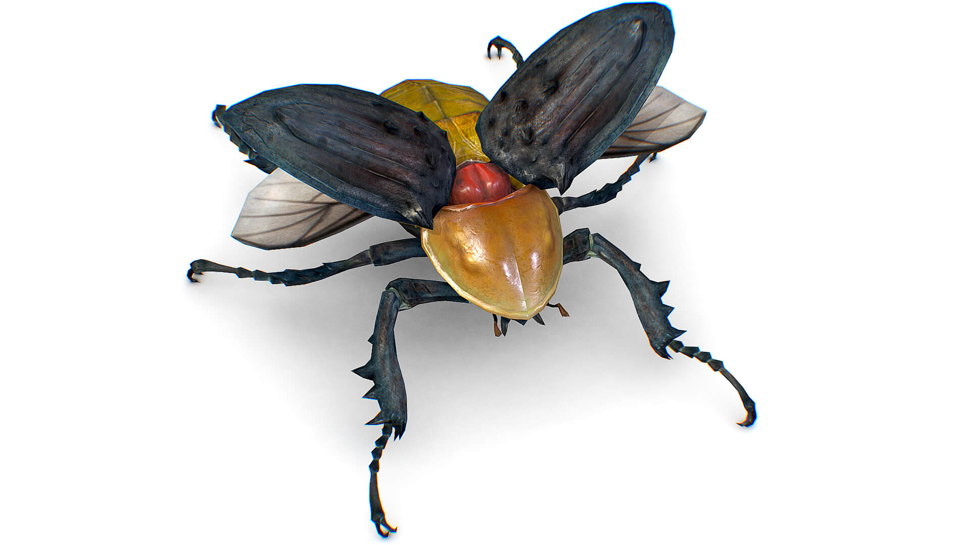 Green Rhinoceros Beetle Dynastinae Bug Insect Animal - 3D Model by ...