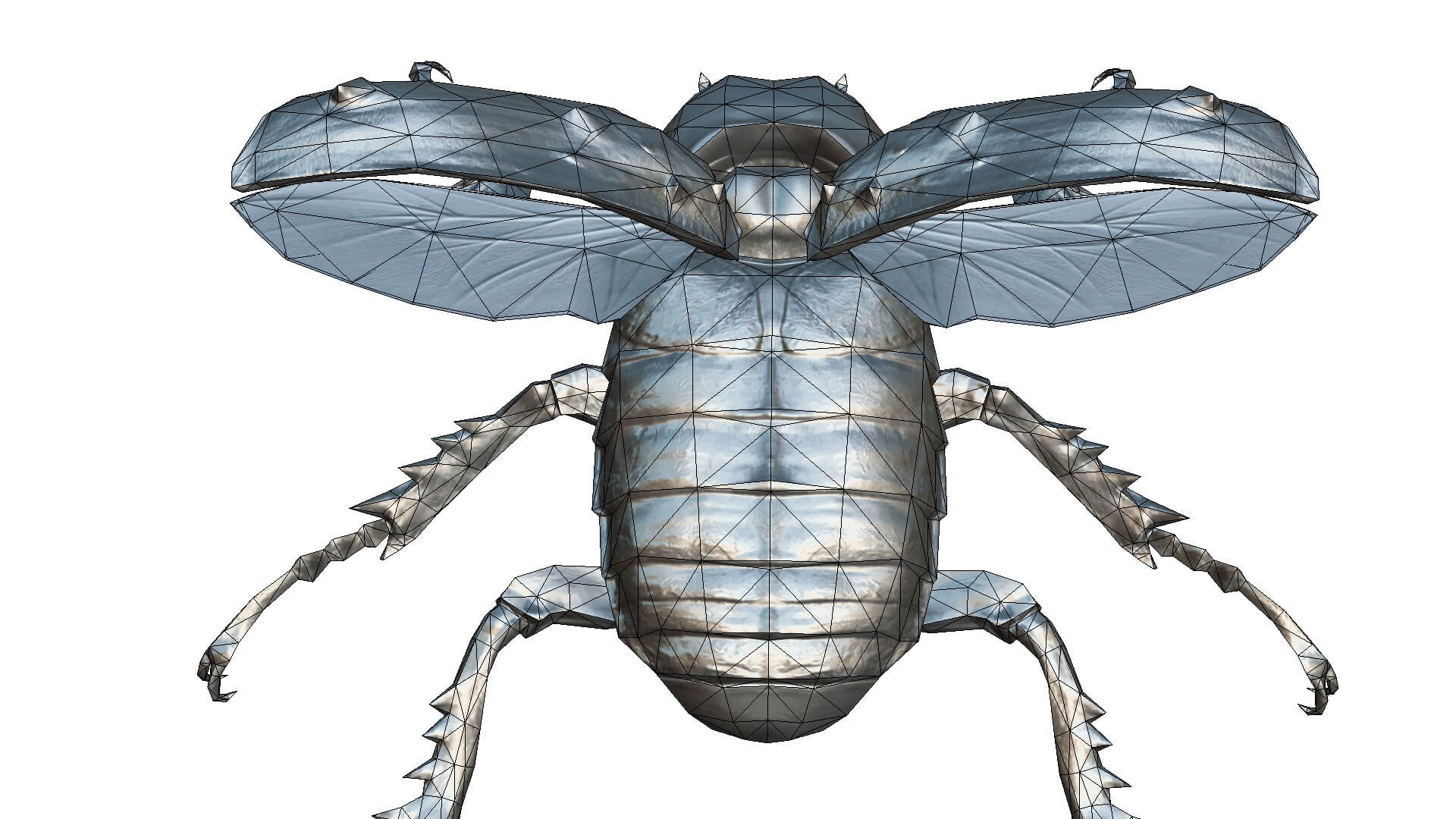 Green Rhinoceros Beetle Dynastinae Bug Insect Animal - 3D Model by ...