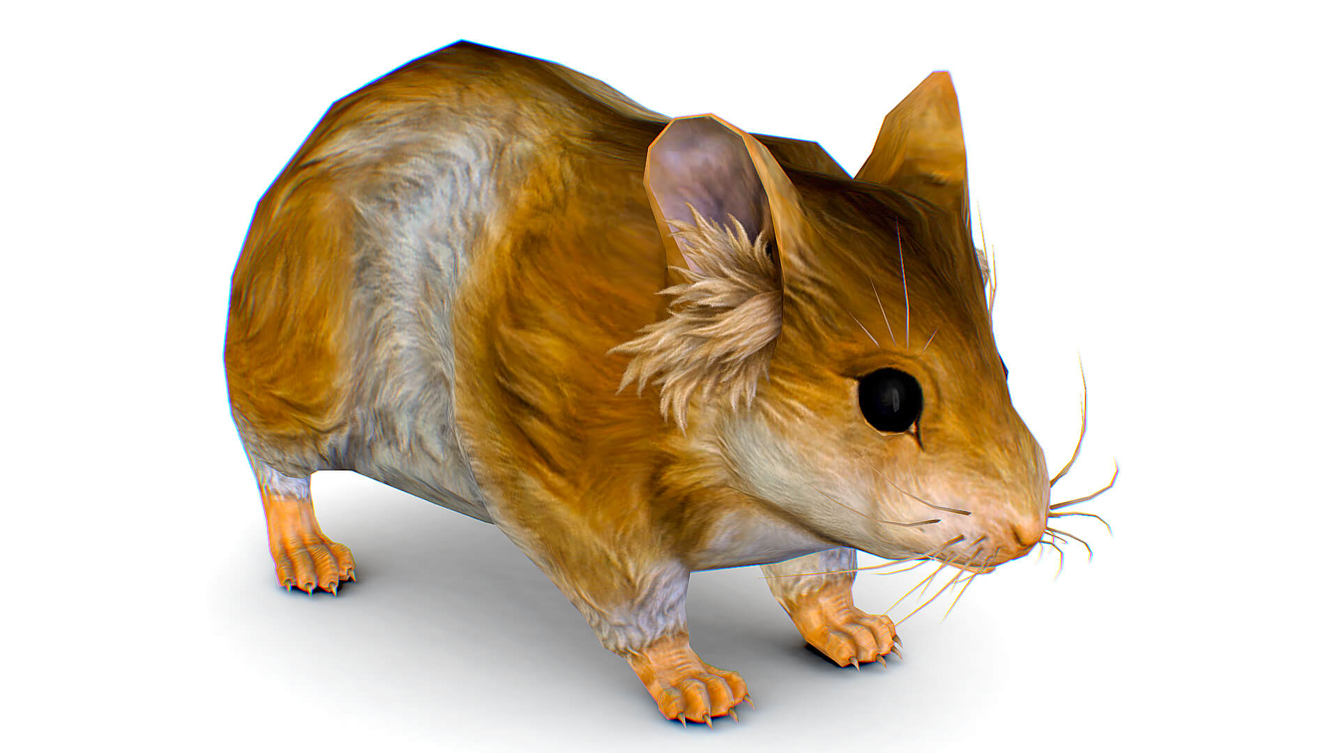 Hamster Rodent Pet Pest Animal Mouse - 3D Model by LiveBook3D