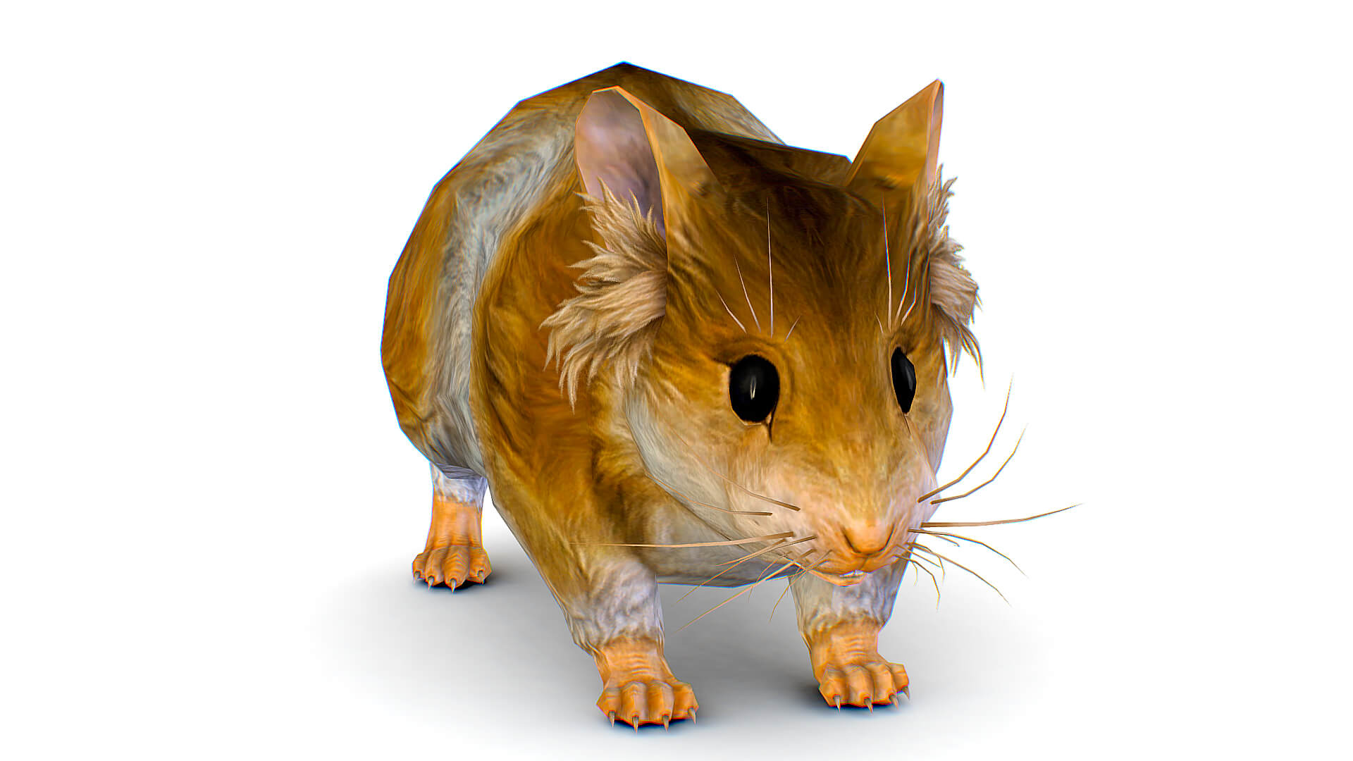 Hamster Rodent Pet Pest Animal Mouse - 3D Model by LiveBook3D
