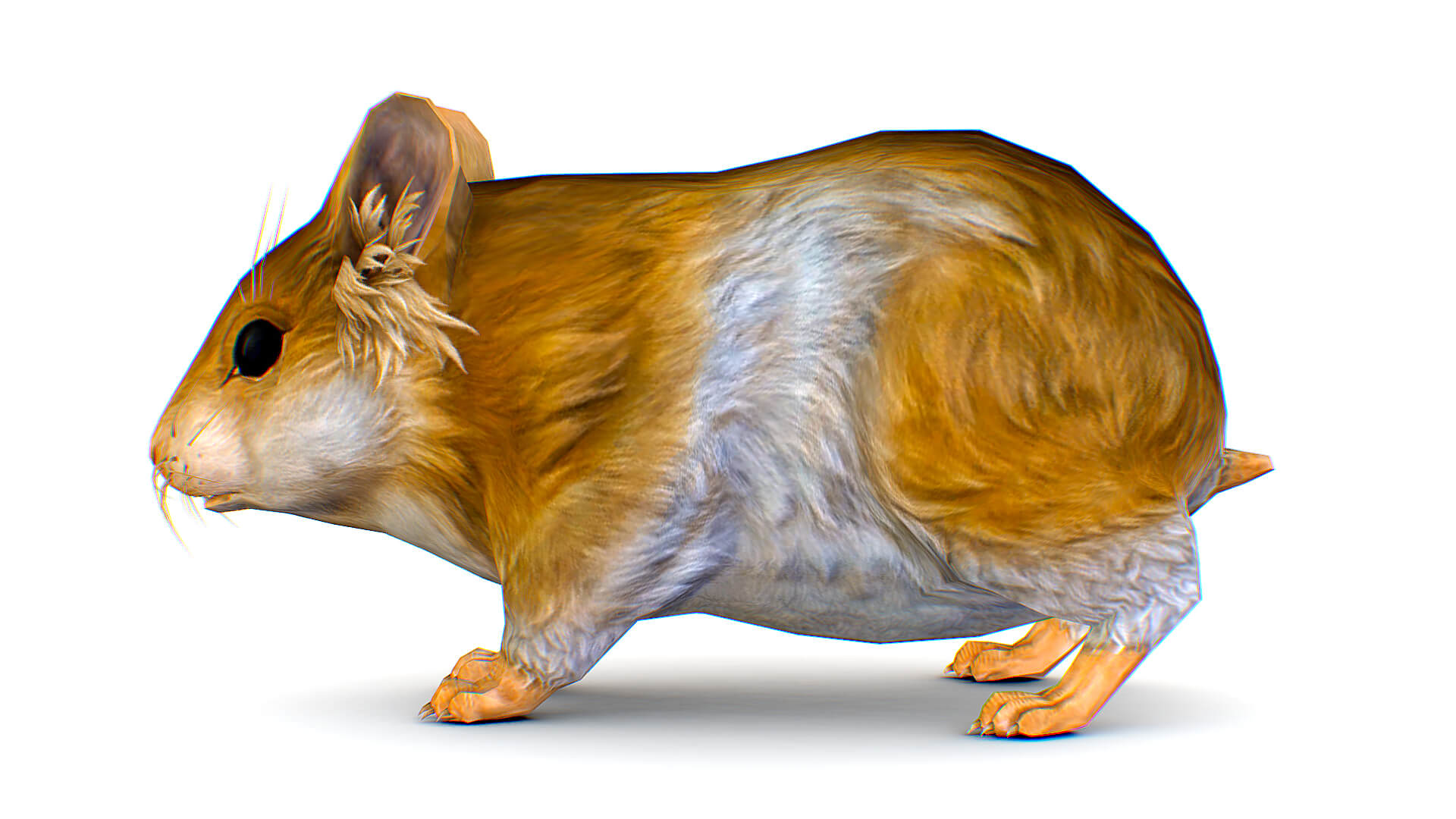 Hamster Rodent Pet Pest Animal Mouse - 3D Model by LiveBook3D
