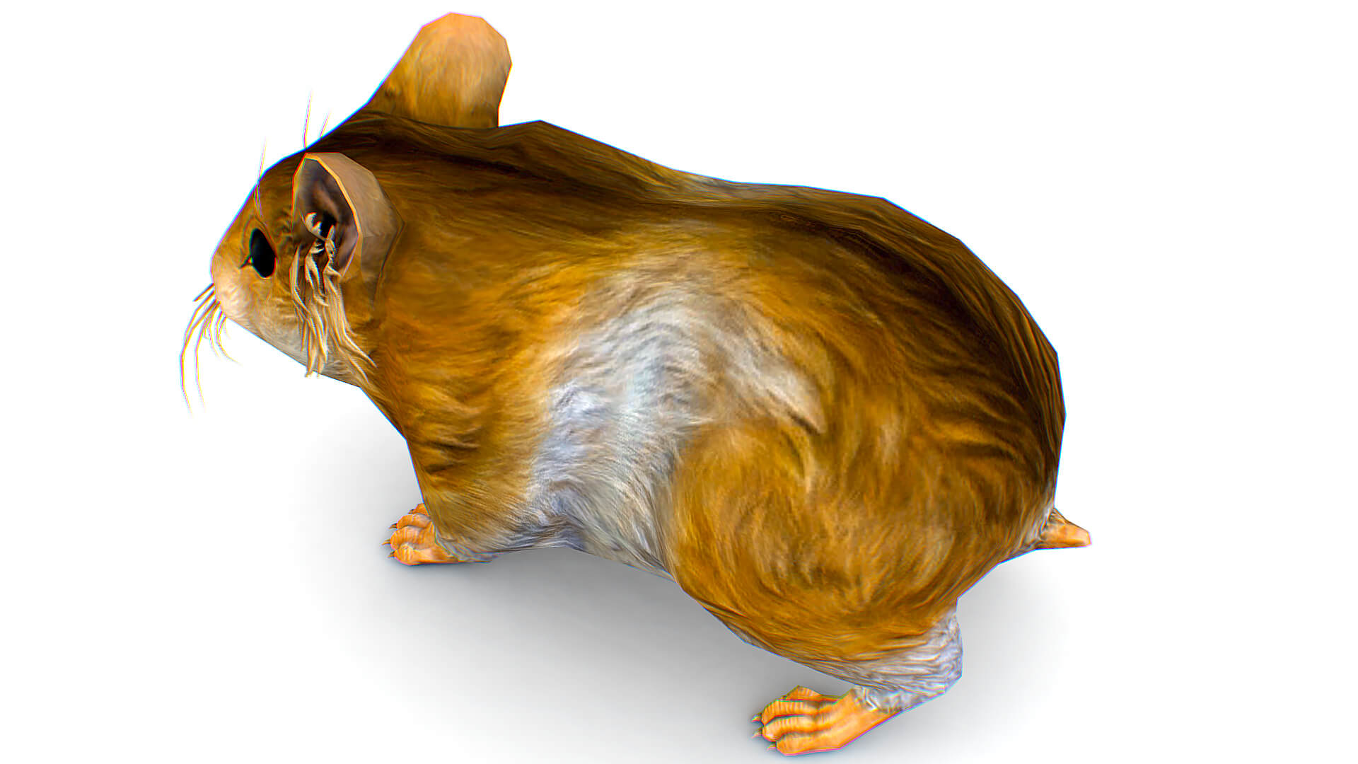 Hamster Rodent Pet Pest Animal Mouse - 3D Model by LiveBook3D