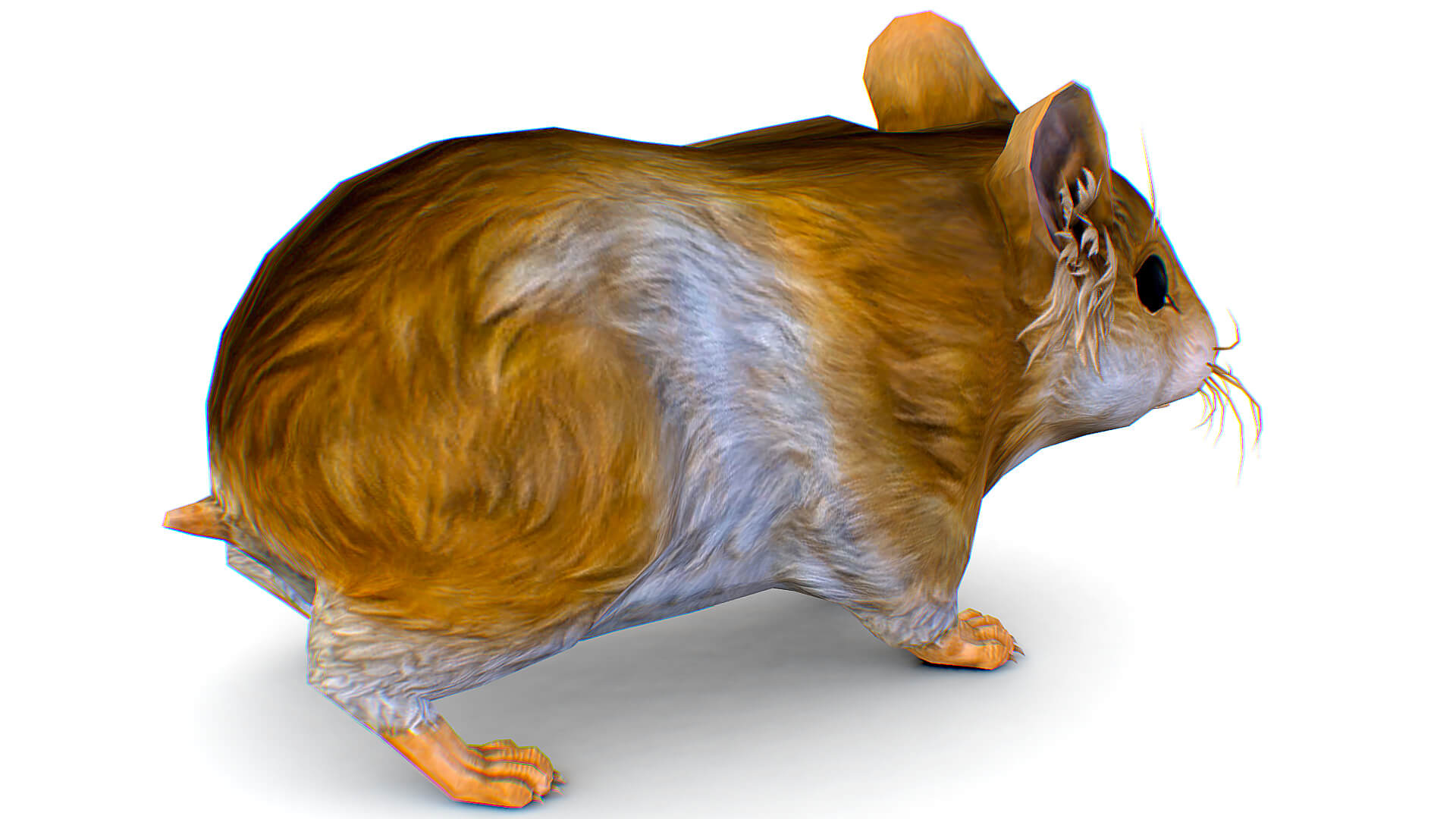 Hamster Rodent Pet Pest Animal Mouse - 3D Model by LiveBook3D