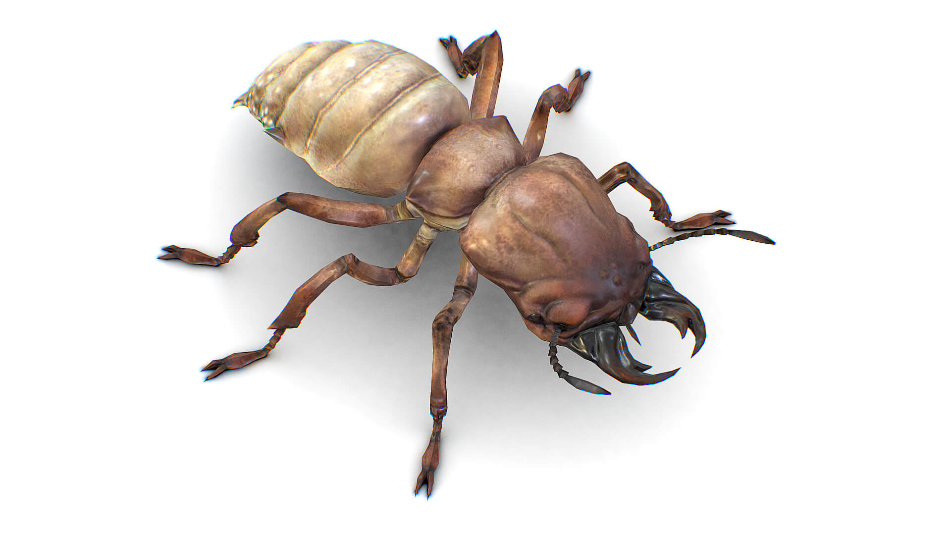 Isoptera Termite Insect Ant Bug Beetle Animal - 3D Model by LiveBook3D