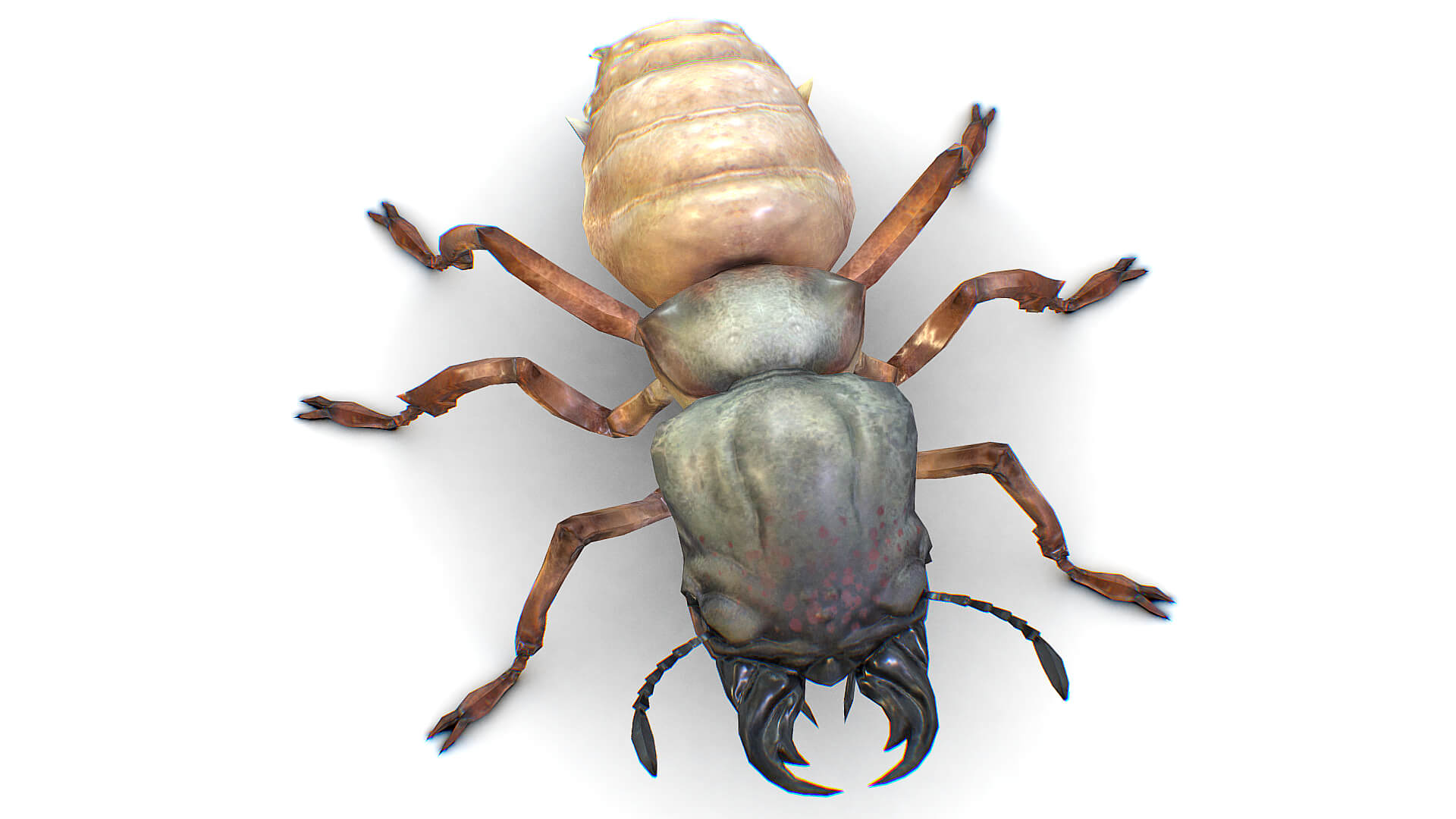 Isoptera Termite Insect Ant Bug Beetle Animal - 3D Model by LiveBook3D