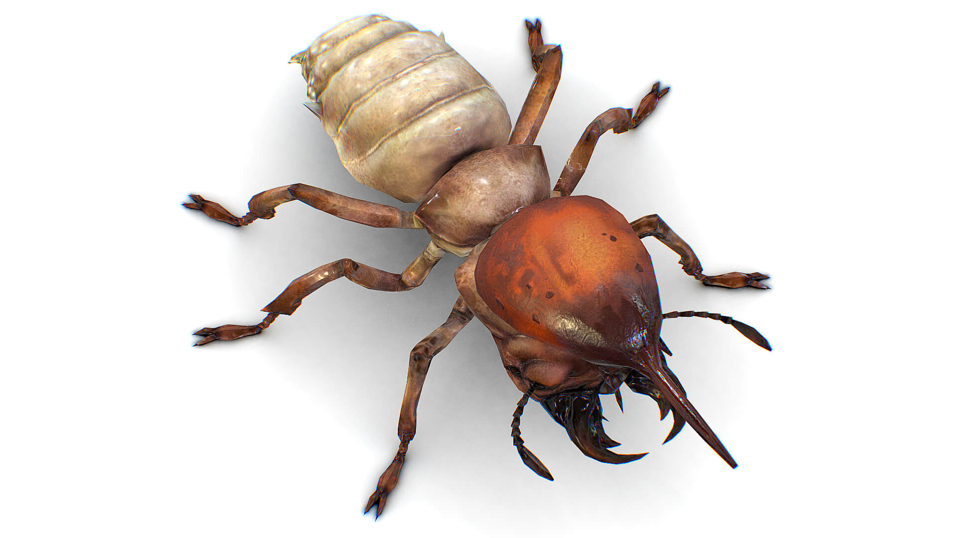 isoptera Termite Insect Ant Bug Beetle Animal - 3D Model by LiveBook3D