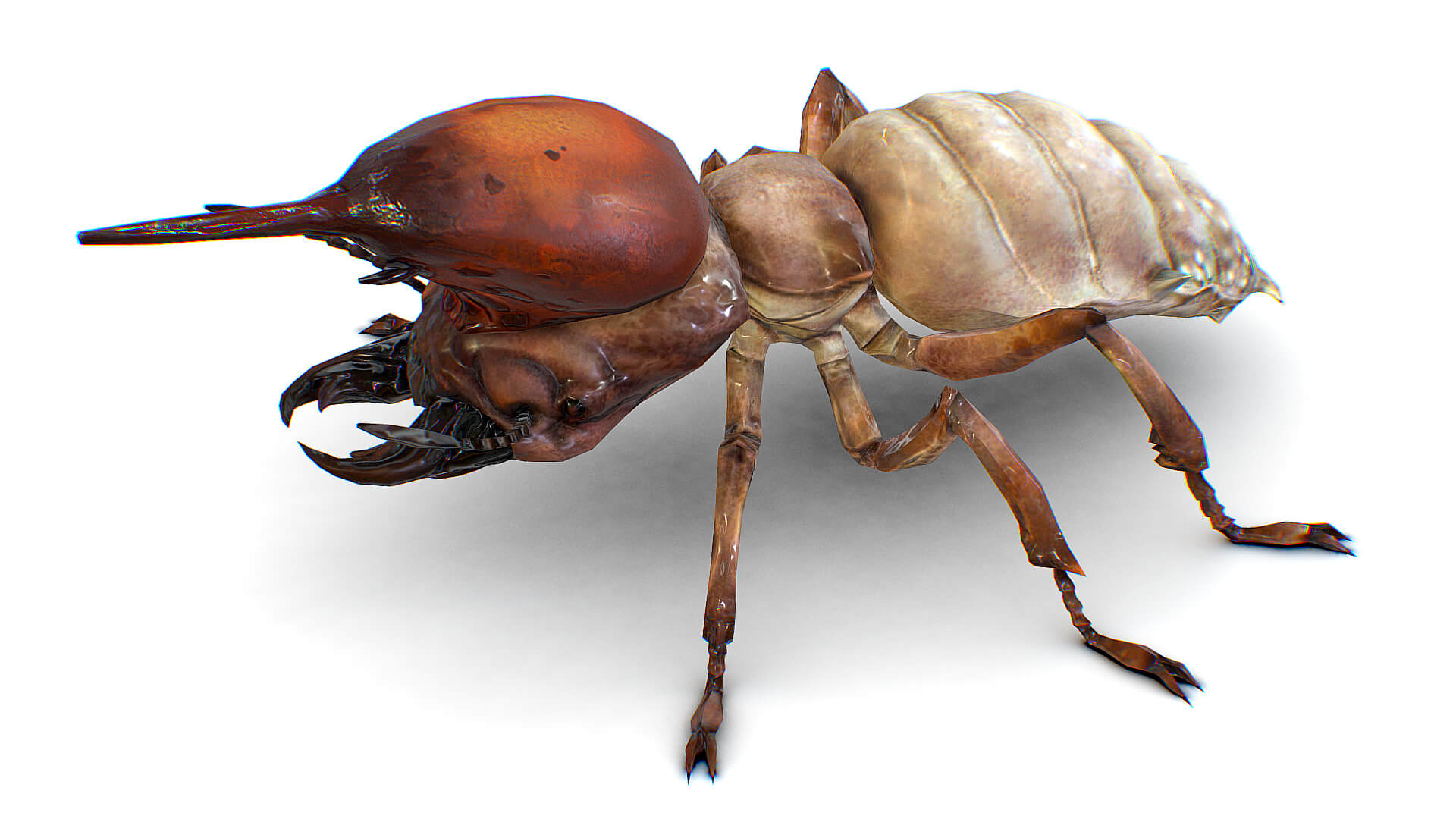 isoptera Termite Insect Ant Bug Beetle Animal - 3D Model by LiveBook3D