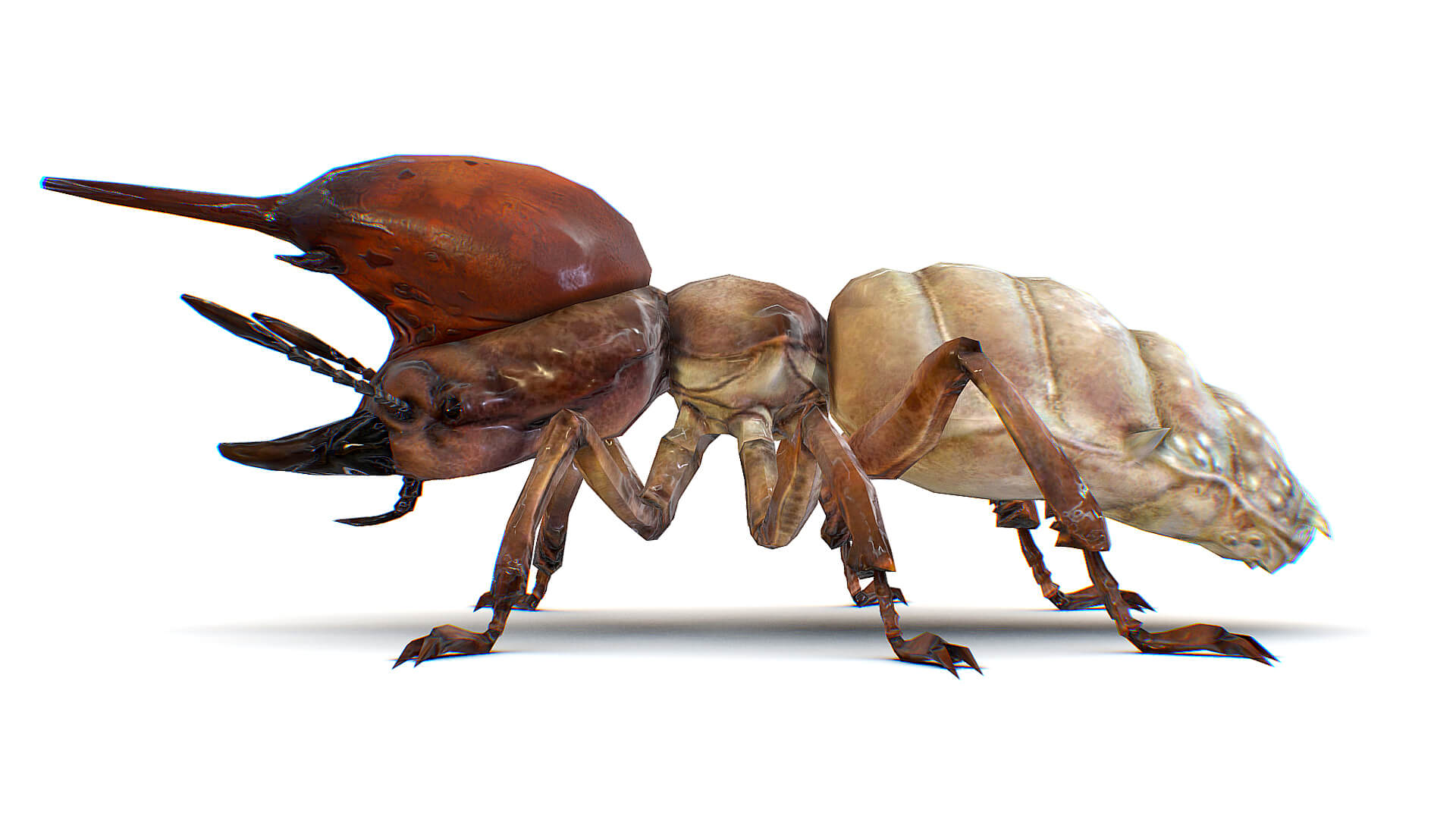 isoptera Termite Insect Ant Bug Beetle Animal - 3D Model by LiveBook3D