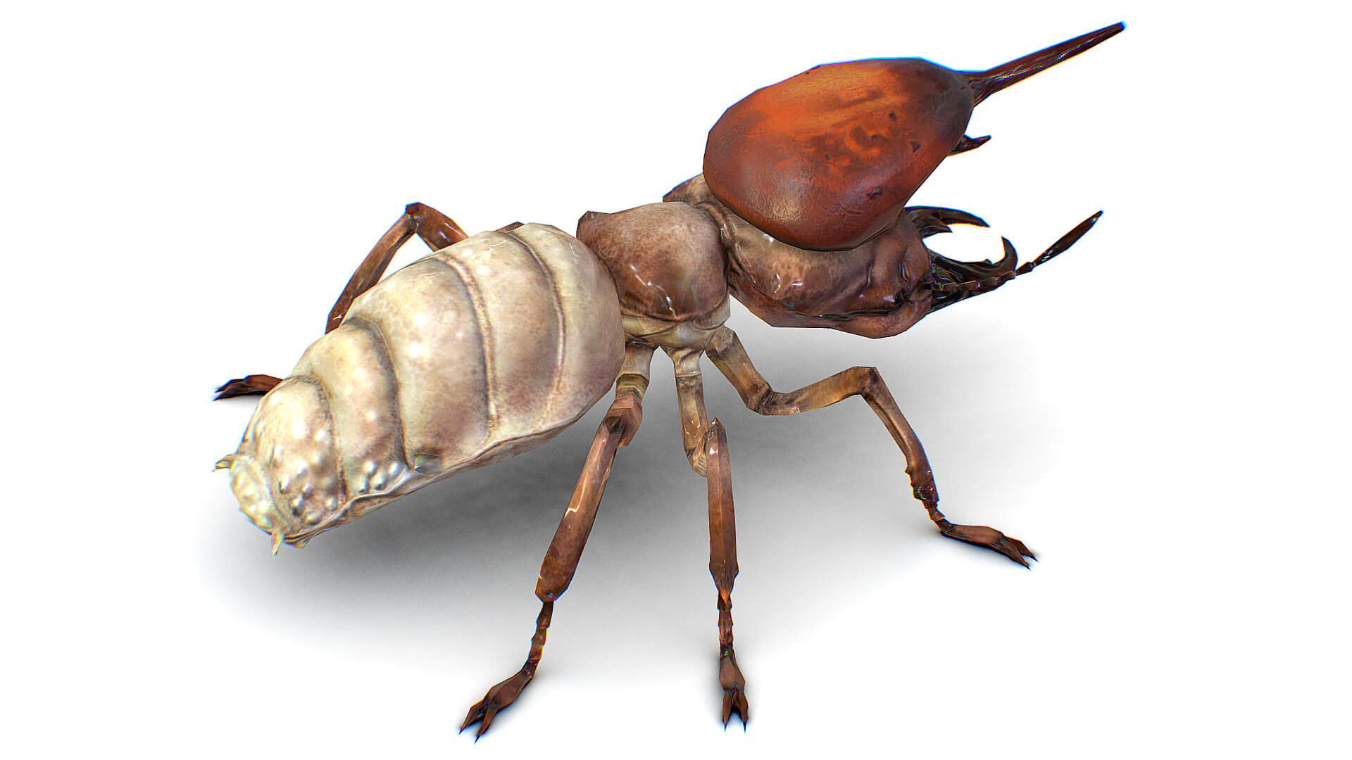 isoptera Termite Insect Ant Bug Beetle Animal - 3D Model by LiveBook3D