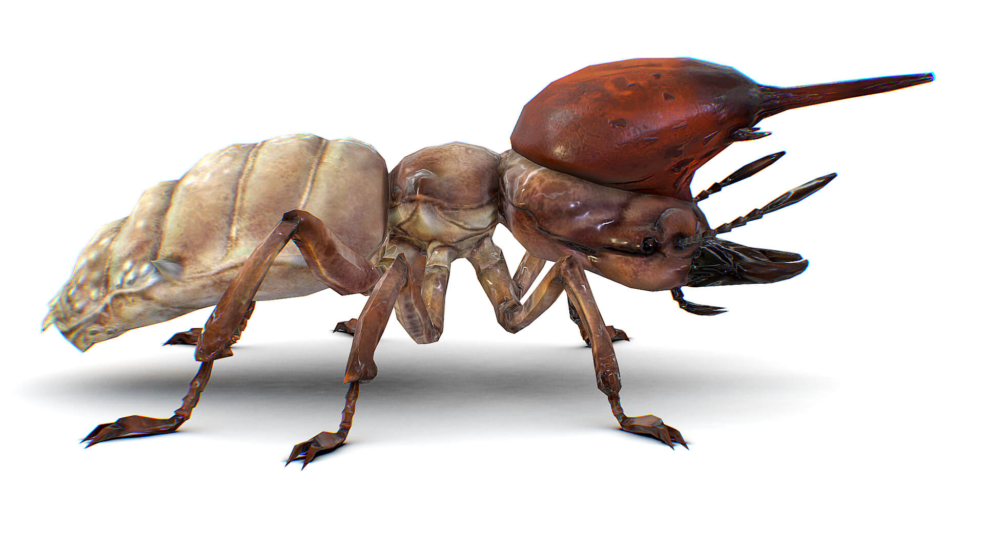 isoptera Termite Insect Ant Bug Beetle Animal - 3D Model by LiveBook3D