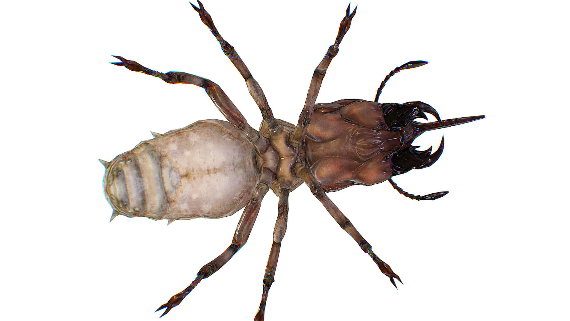 isoptera Termite Insect Ant Bug Beetle Animal - 3D Model by LiveBook3D