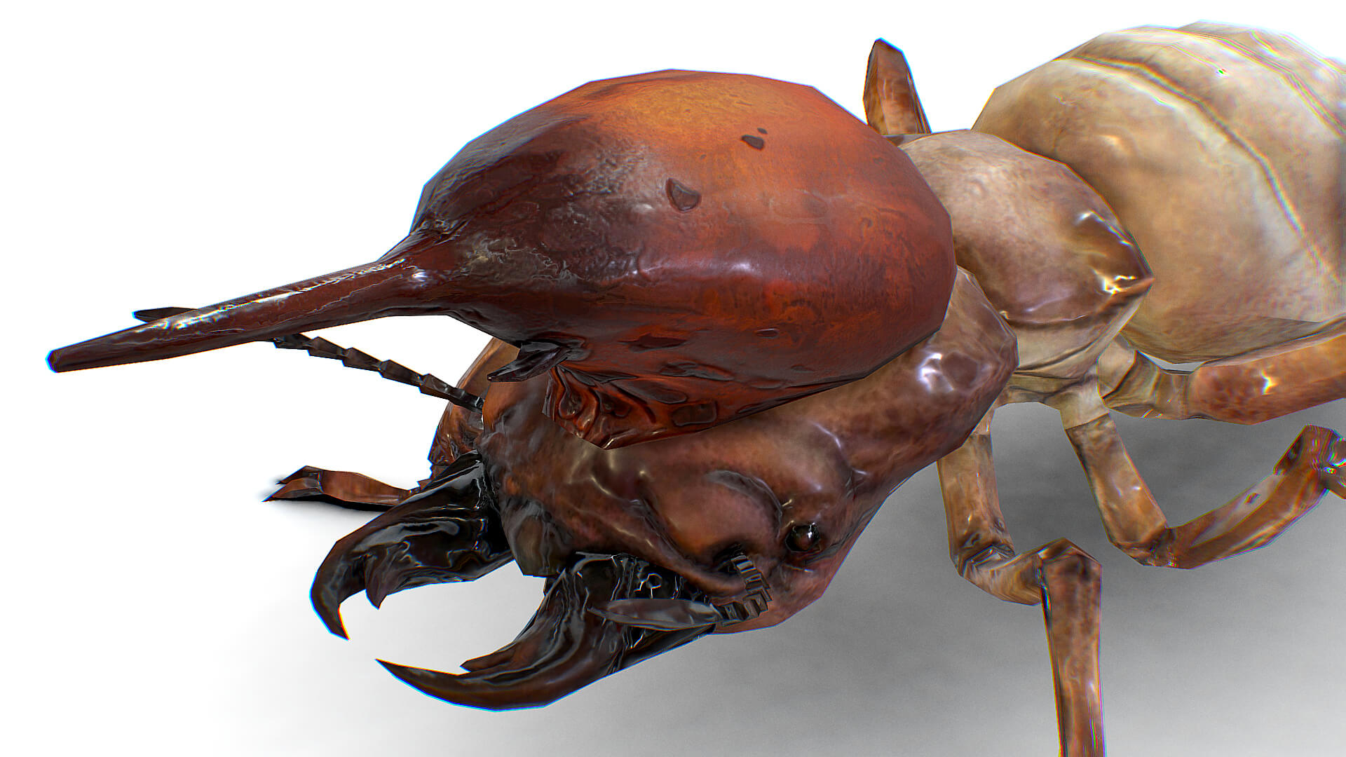 isoptera Termite Insect Ant Bug Beetle Animal - 3D Model by LiveBook3D