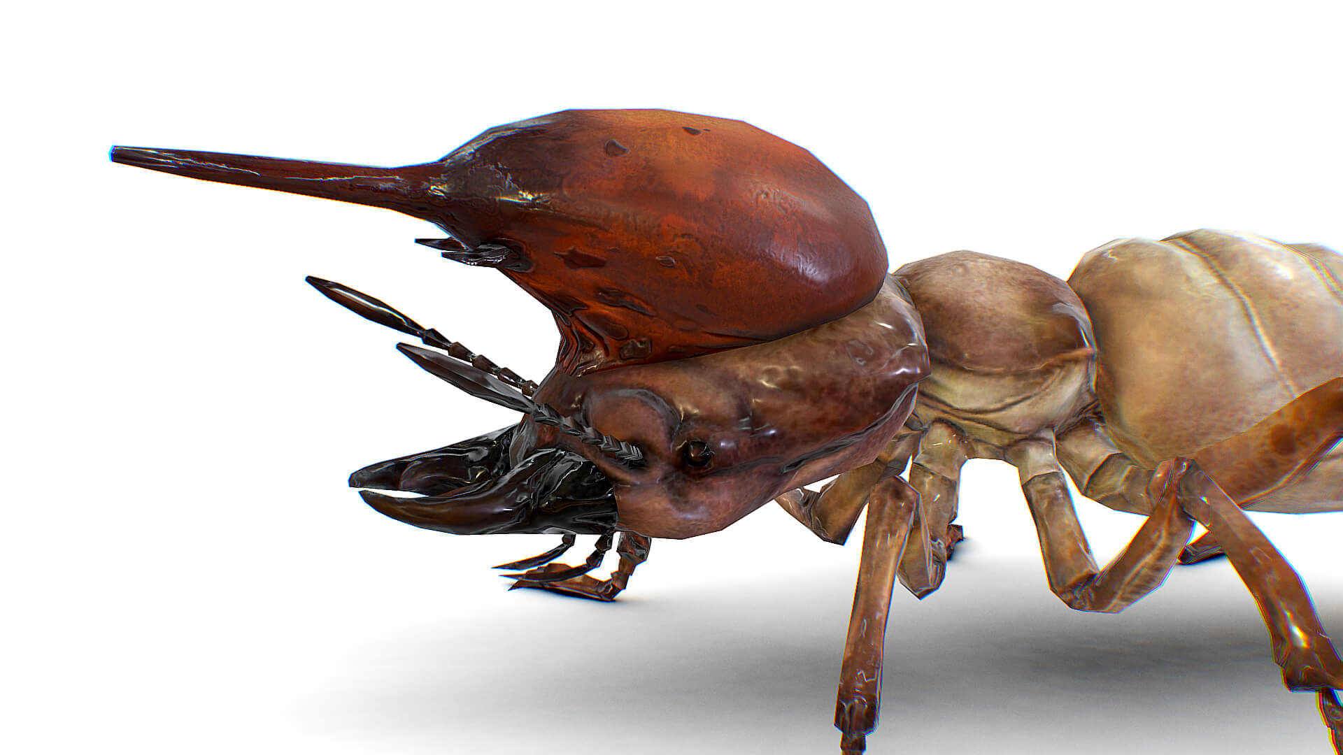 isoptera Termite Insect Ant Bug Beetle Animal - 3D Model by LiveBook3D