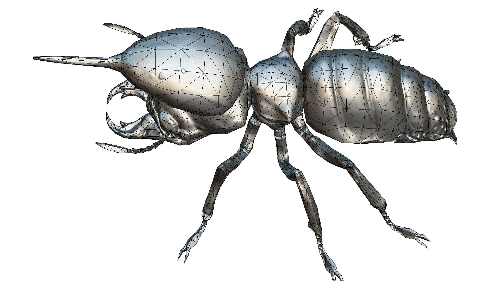 isoptera Termite Insect Ant Bug Beetle Animal - 3D Model by LiveBook3D