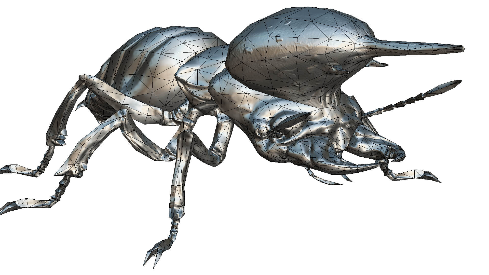 isoptera Termite Insect Ant Bug Beetle Animal - 3D Model by LiveBook3D