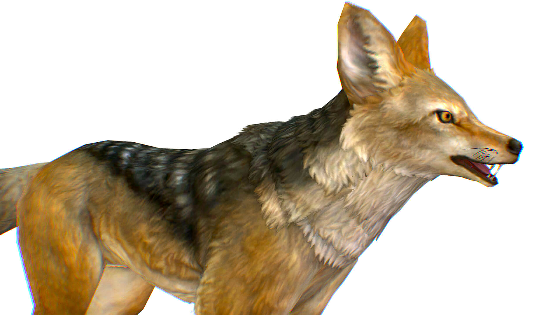 Jackal Brown Wolf Wolves Wild Animal Coyote Fox Dog - 3D Model by ...