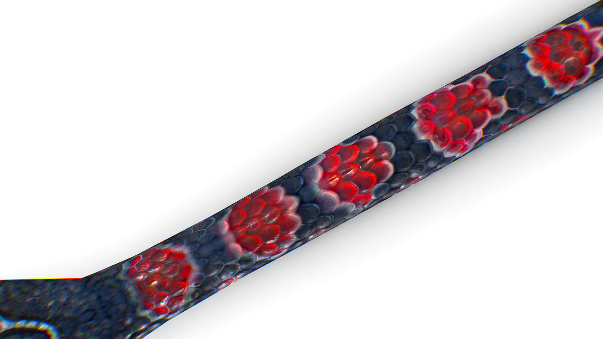 King Cobra Snake Desert Anaconda Black Python Monster 3D Mod by LiveBook3D