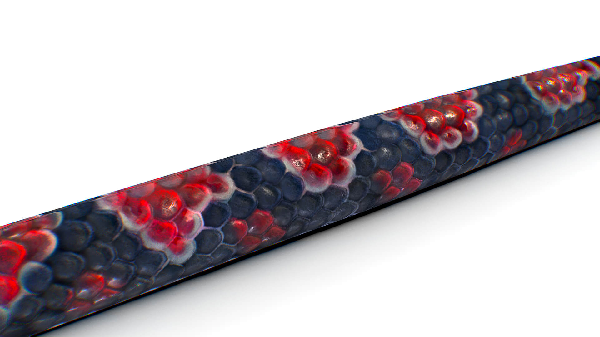 King Cobra Snake Desert Anaconda Black Python Monster 3D Mod by LiveBook3D