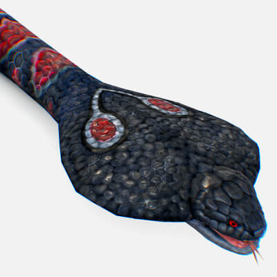 LiveBook3D | 3D Models | Snakes