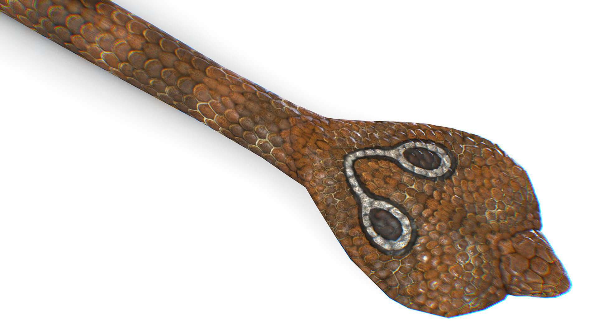 King Cobra Snake Desert Anaconda Brown Python Monster - 3D Model by ...