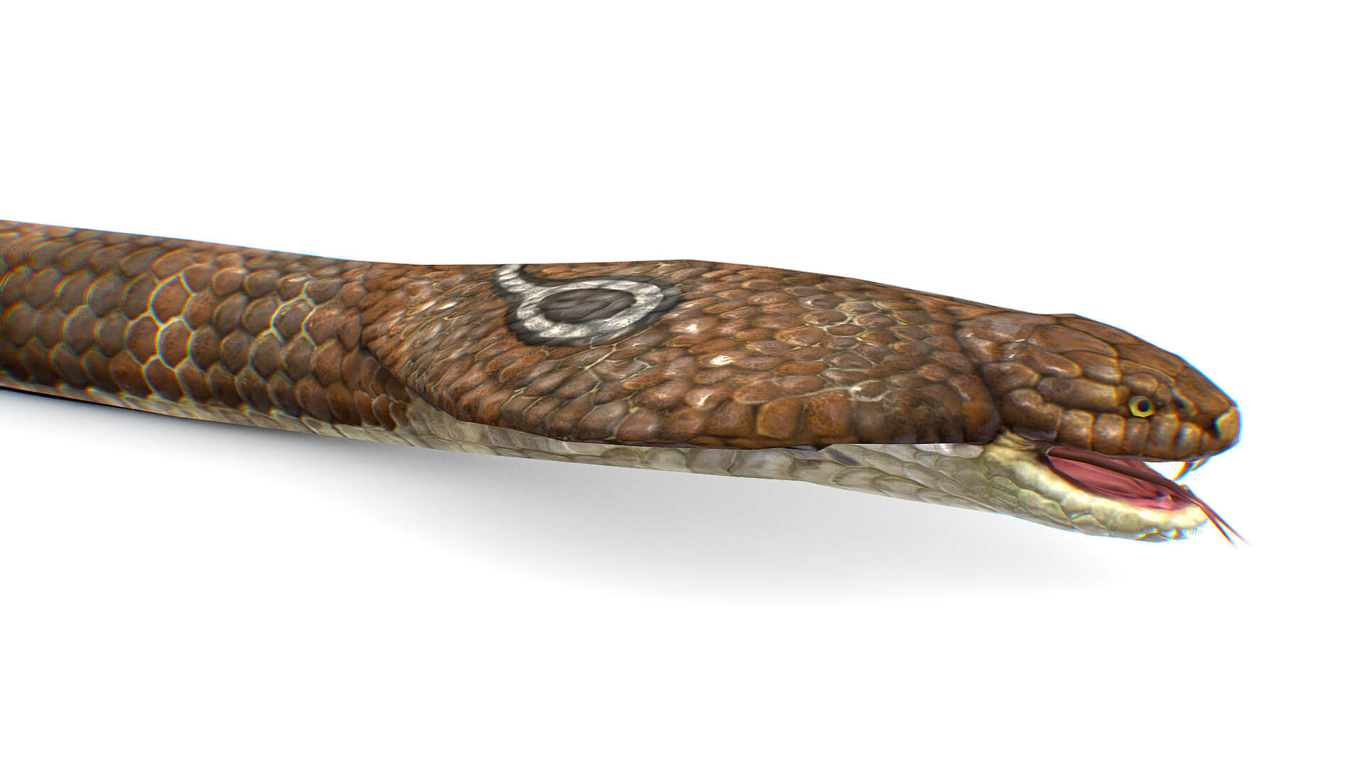 King Cobra Snake Desert Anaconda Brown Python Monster - 3D Model by ...