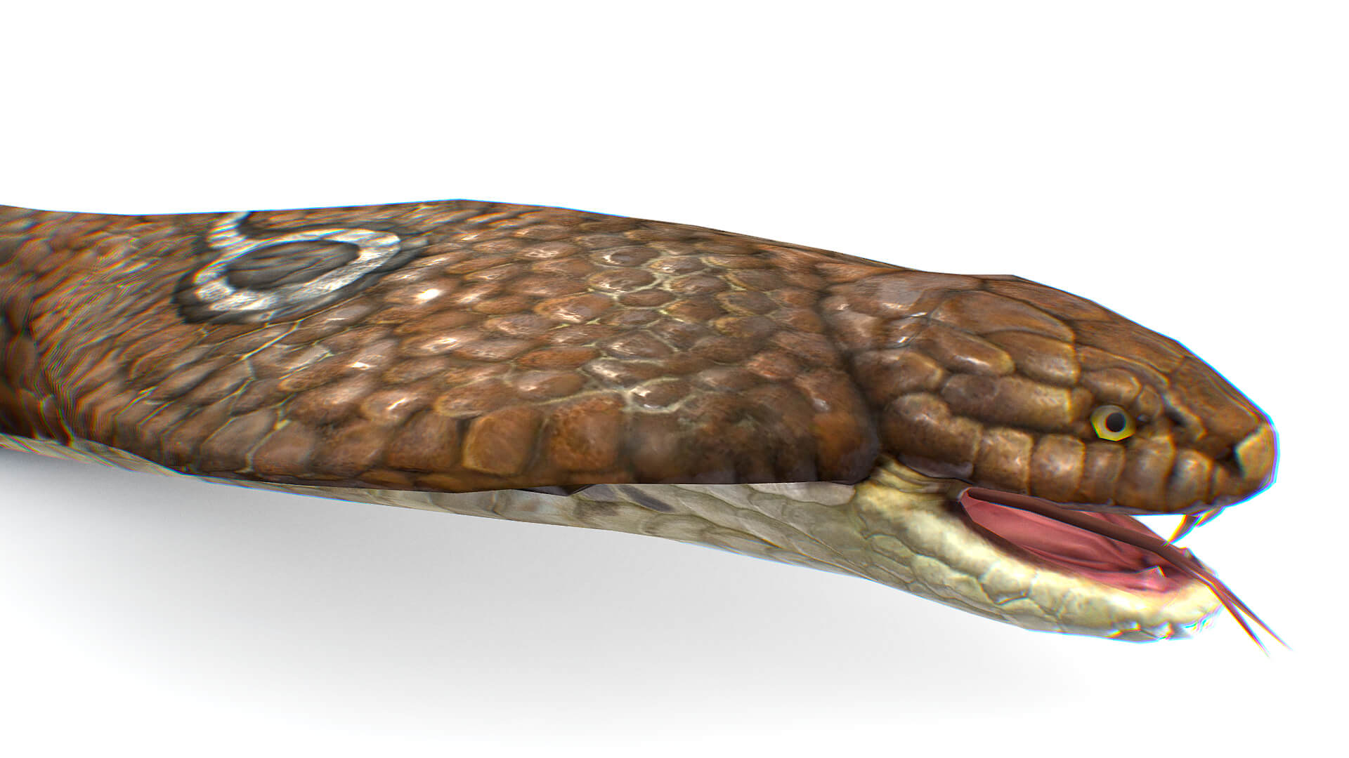 King Cobra Snake Desert Anaconda Brown Python Monster - 3D Model by ...