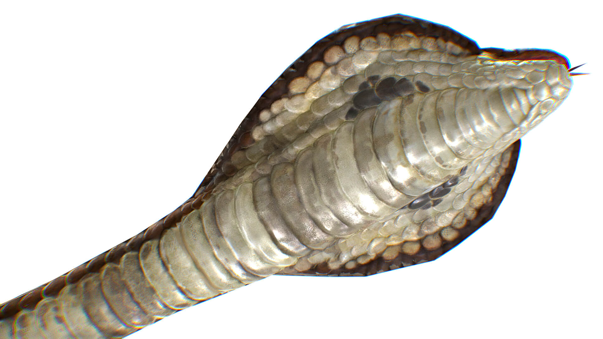 King Cobra Snake Desert Anaconda Brown Python Monster - 3D Model by ...