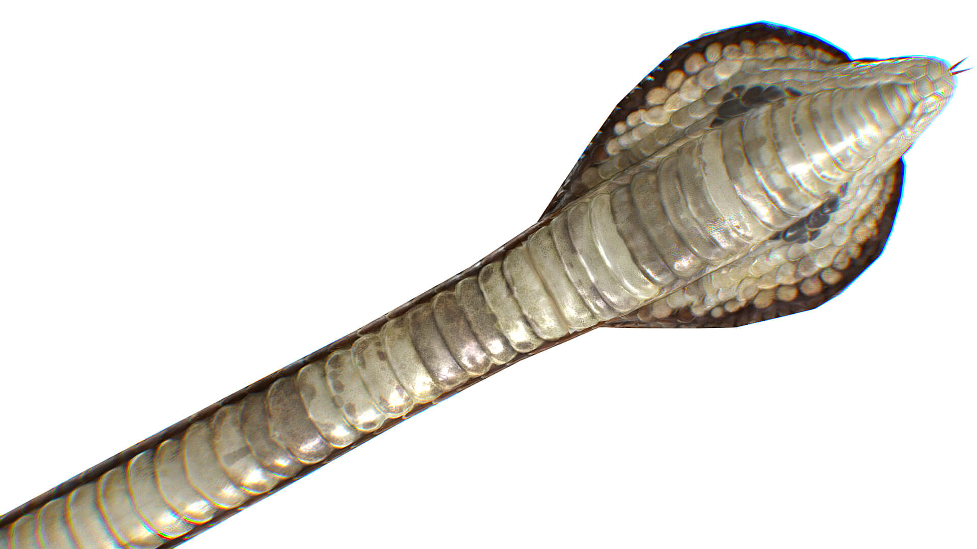 King Cobra Snake Desert Anaconda Brown Python Monster - 3D Model by ...