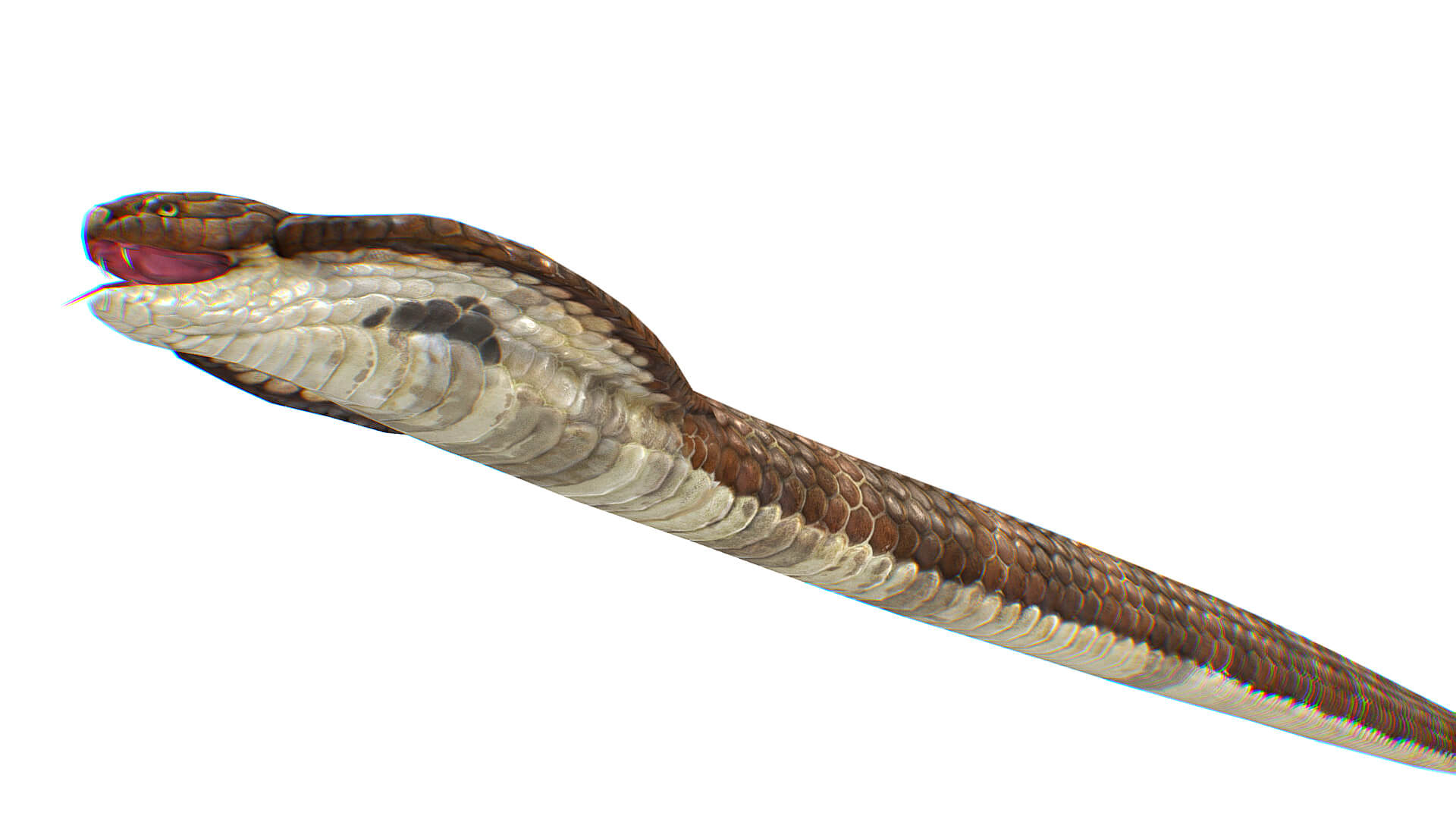 King Cobra Snake Desert Anaconda Brown Python Monster - 3D Model by ...