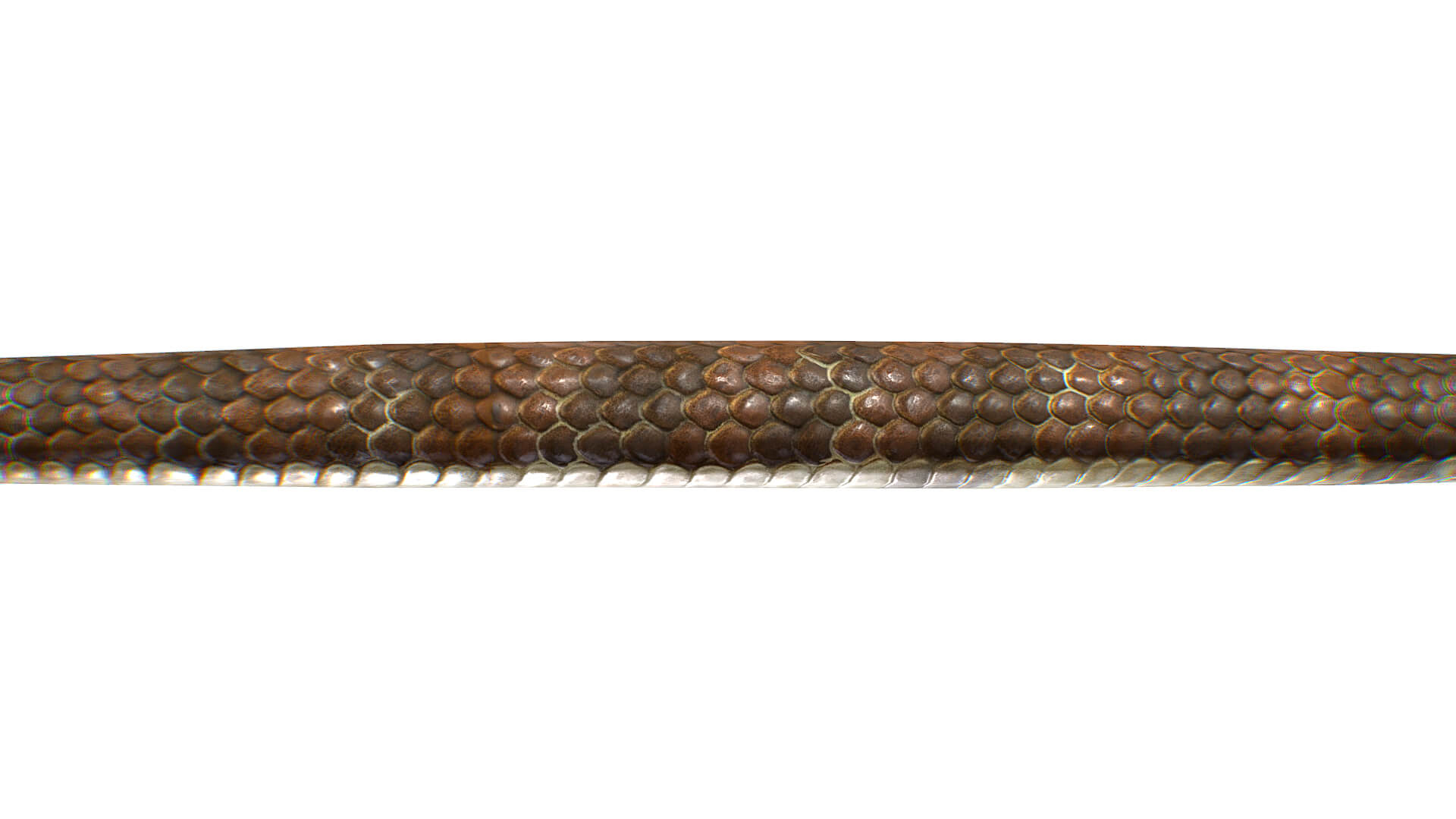 King Cobra Snake Desert Anaconda Brown Python Monster - 3D Model by ...