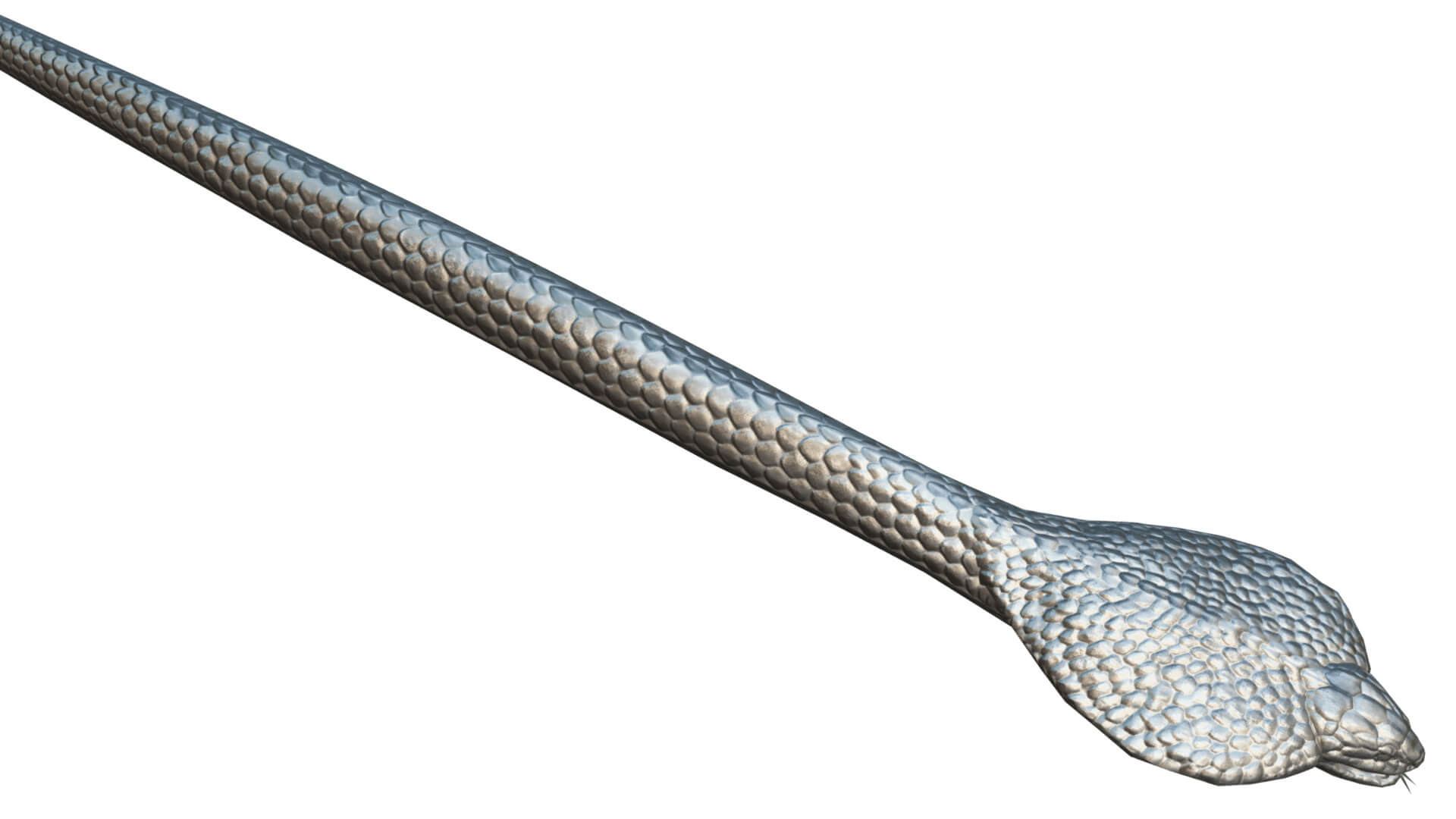 King Cobra Snake Desert Anaconda Brown Python Monster - 3D Model by ...