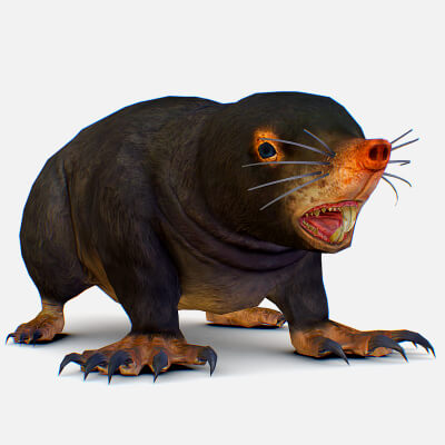 Mole Rodent Black Animal Underground Mammal - 3D Model by LiveBook3D